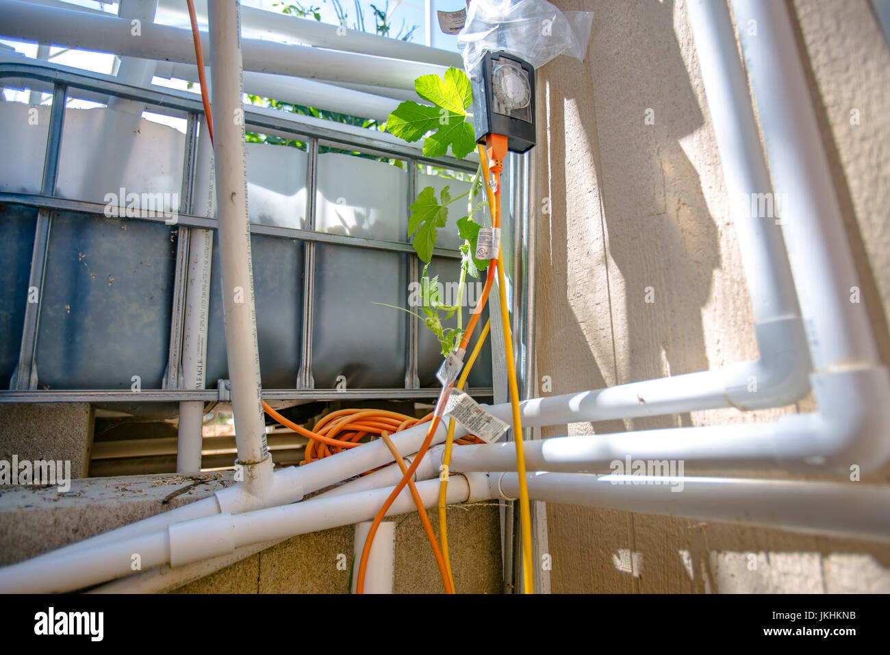 Aquaponics and Hydroponics support heavy vegetation Stock Photo - Alamy