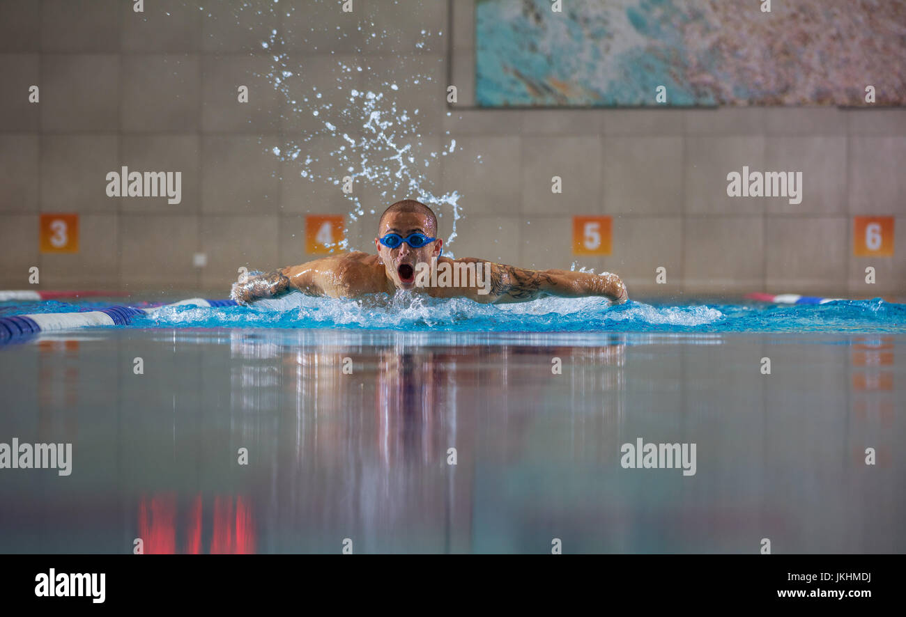 Action man in swimming pool hi-res stock photography and images - Alamy
