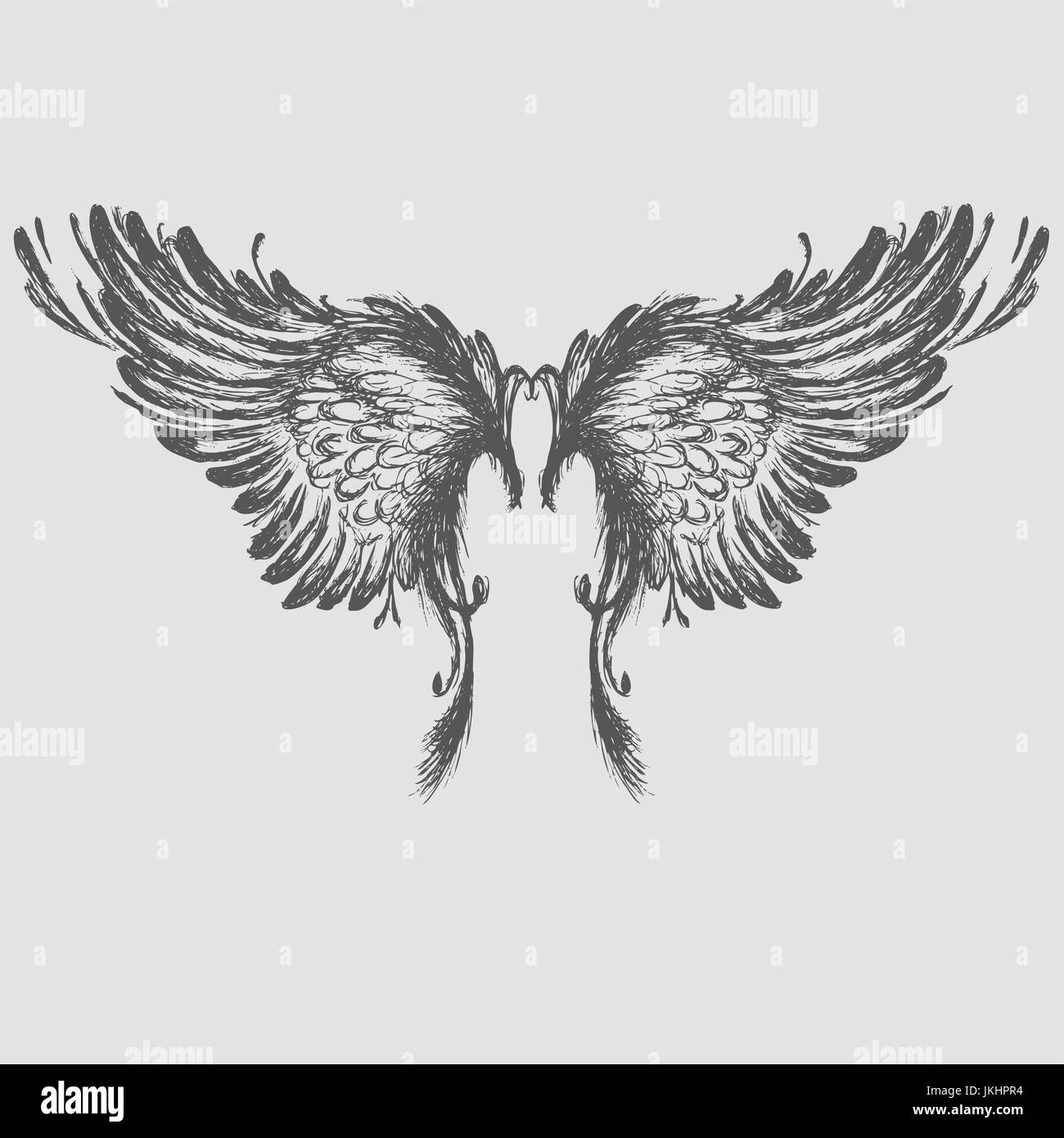 Wings vector Black and White Stock Photos & Images - Alamy