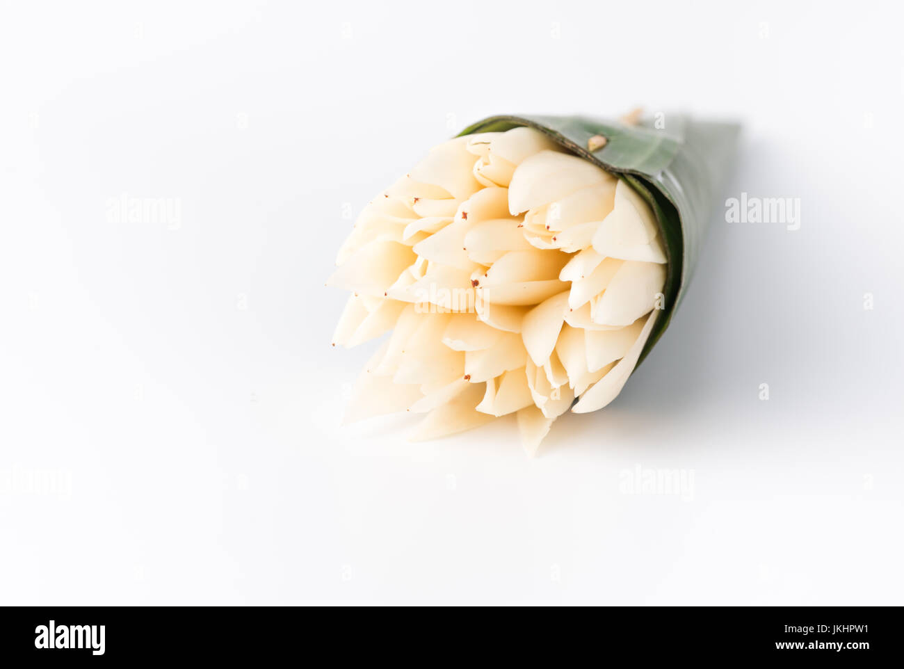 Champaka flower hi-res stock photography and images - Alamy