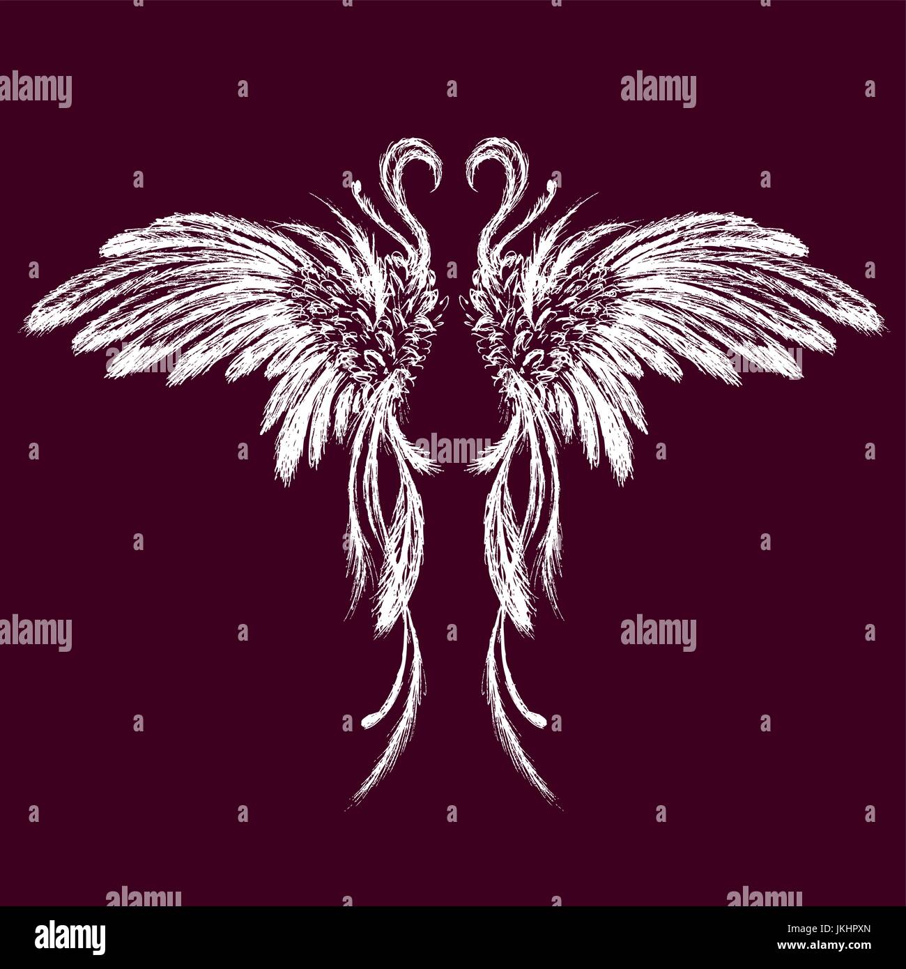 Wings vector illustration Stock Vector Image & Art - Alamy