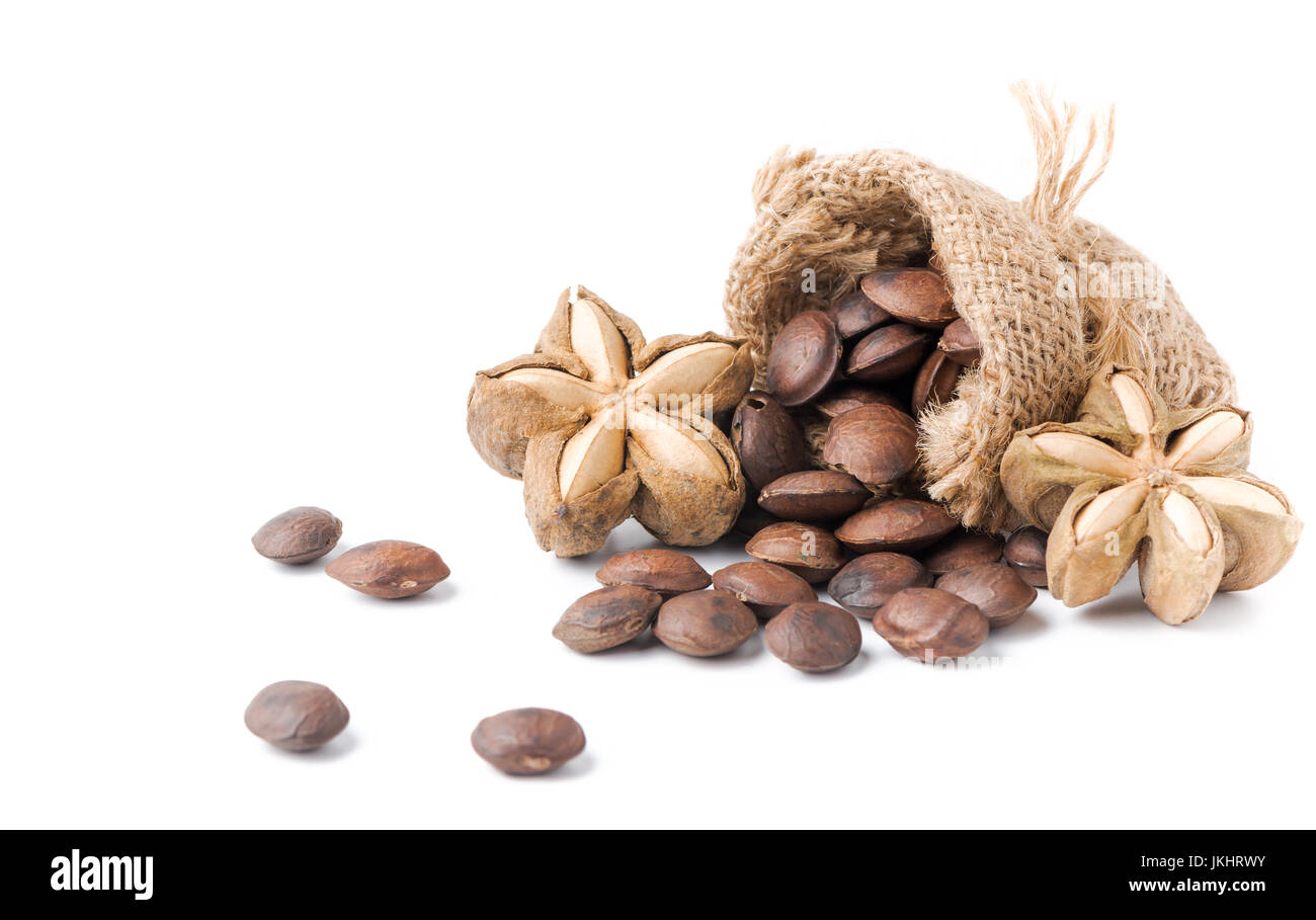 dried capsule seeds fruit of sacha-Inchi peanut isoalted on white ...