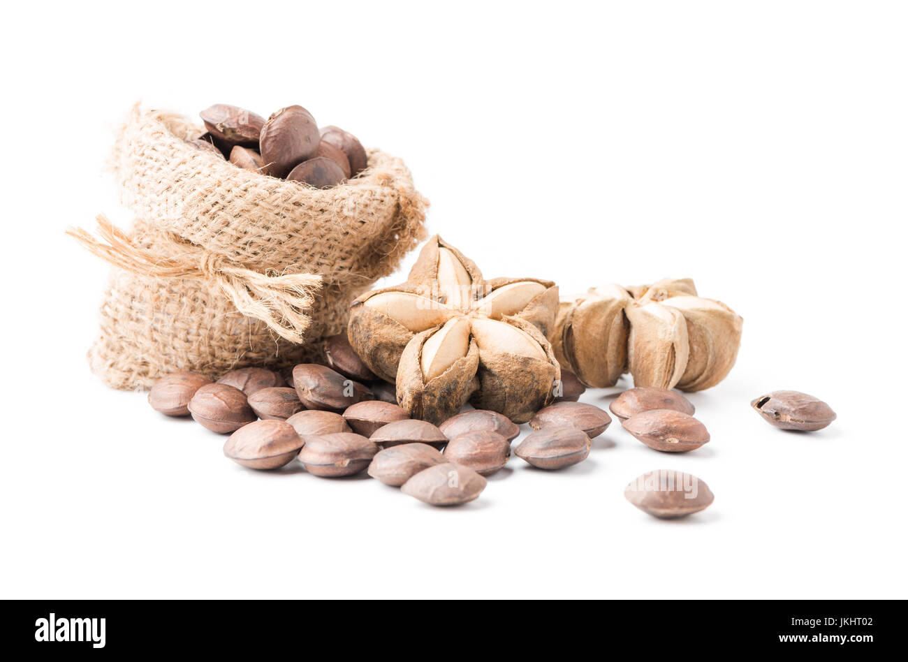 dried capsule seeds fruit of sacha-Inchi peanut isoalted on white ...