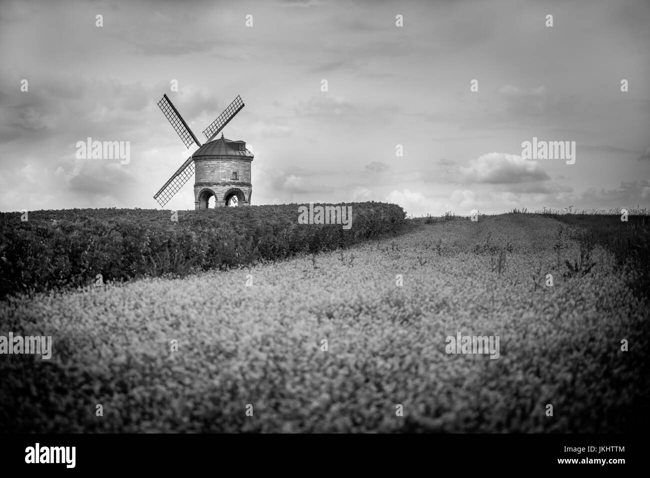 Dutch countryside white windmill hi-res stock photography and images ...