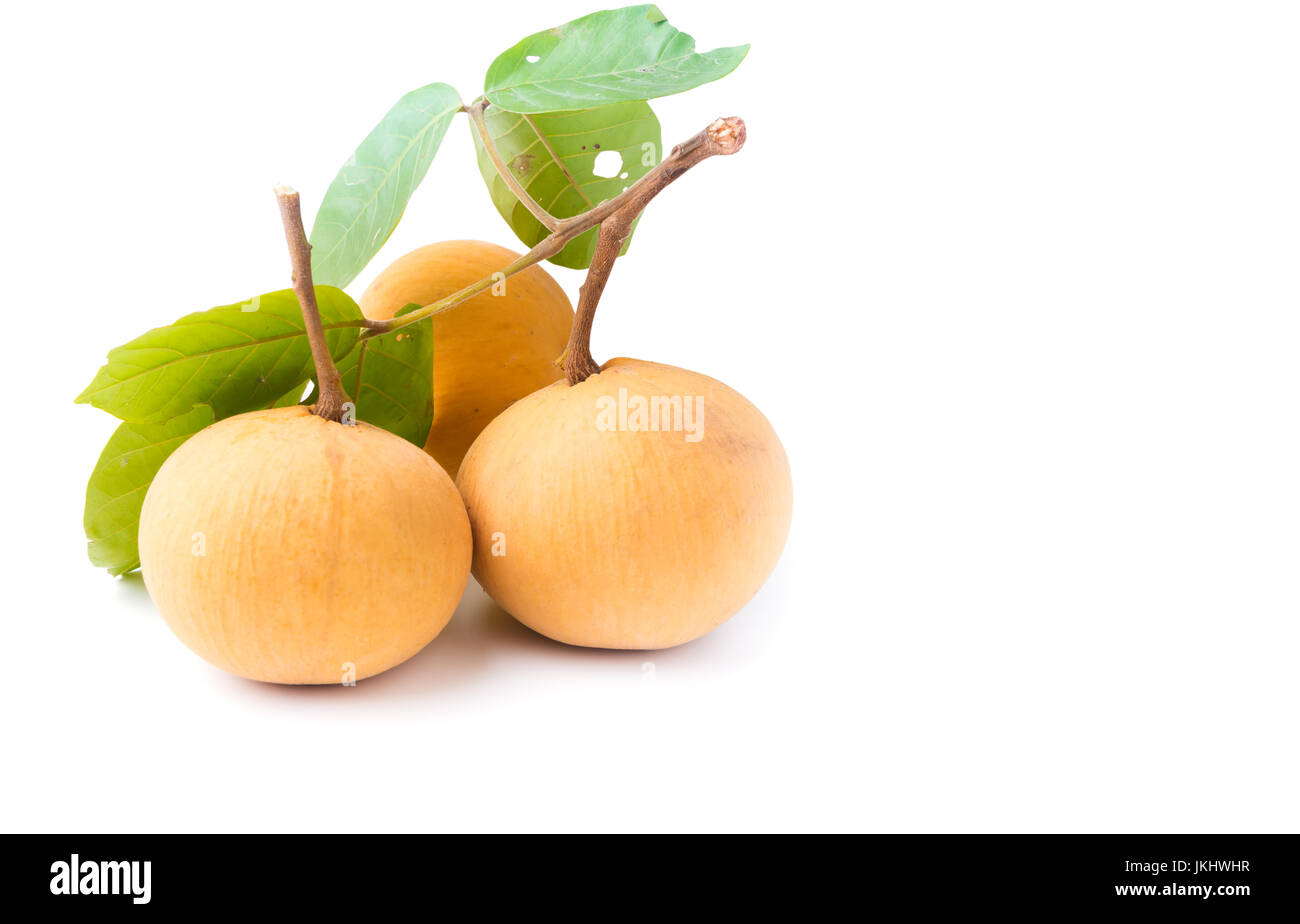 fresh santol fruit isolated on white background Stock Photo - Alamy