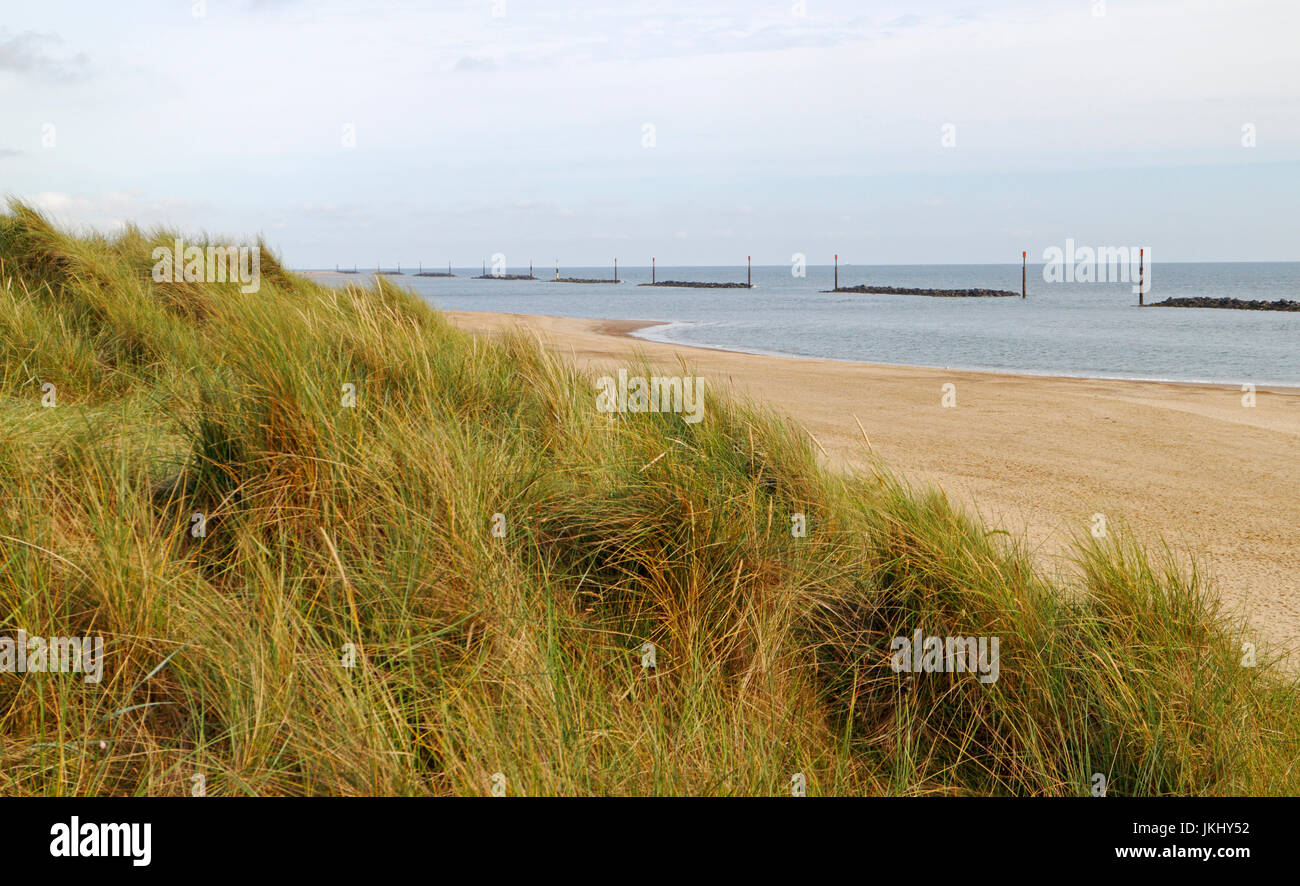 A view of the sand dunes, beach, and artificial reefs on the Norfolk ...