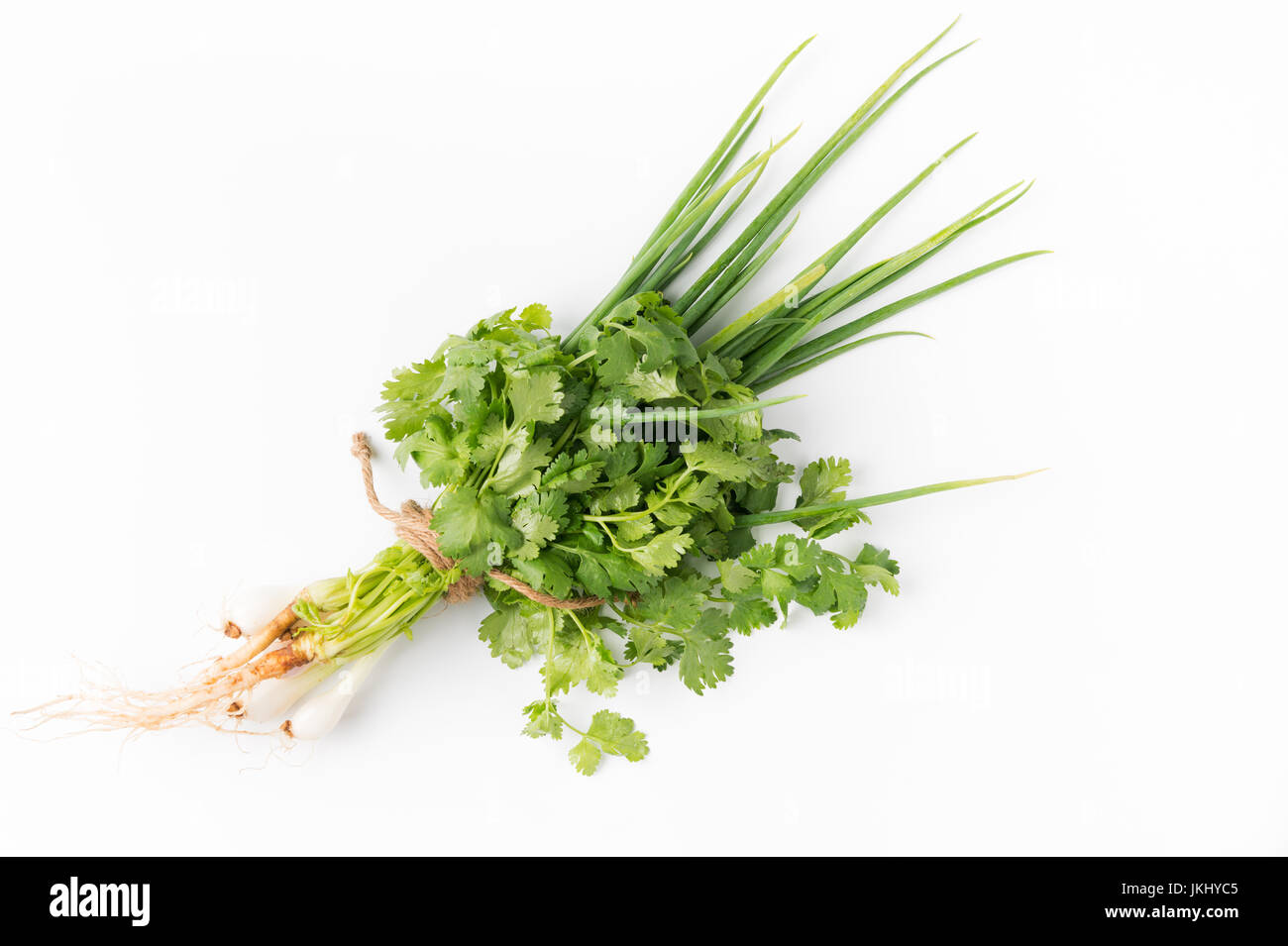 Spring coriander hi-res stock photography and images - Alamy