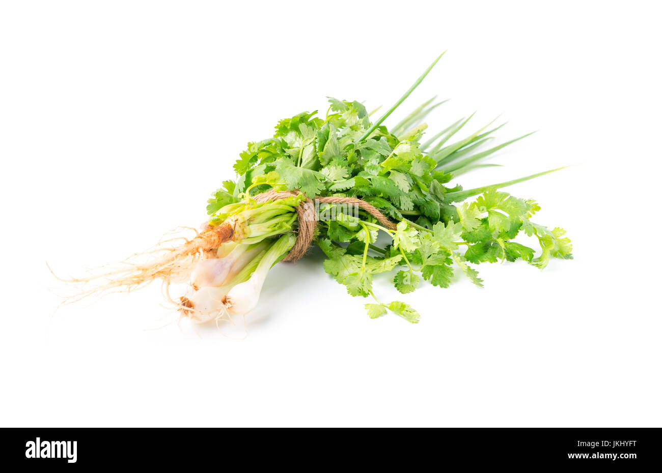 Spring onion and coriander isolated on white background Stock Photo - Alamy