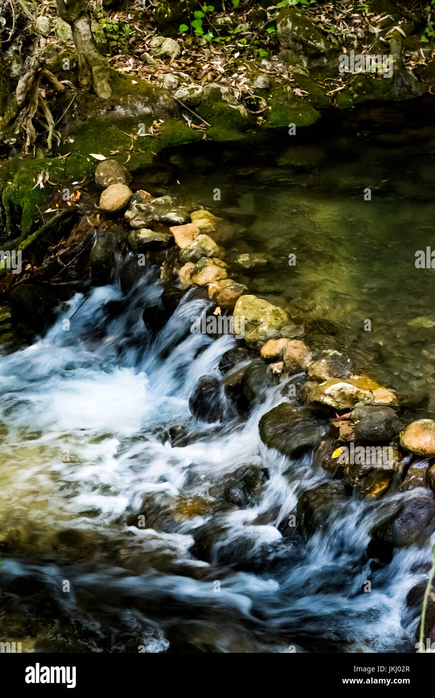 Landscape of a river with water running silky, rocks and trees Stock ...