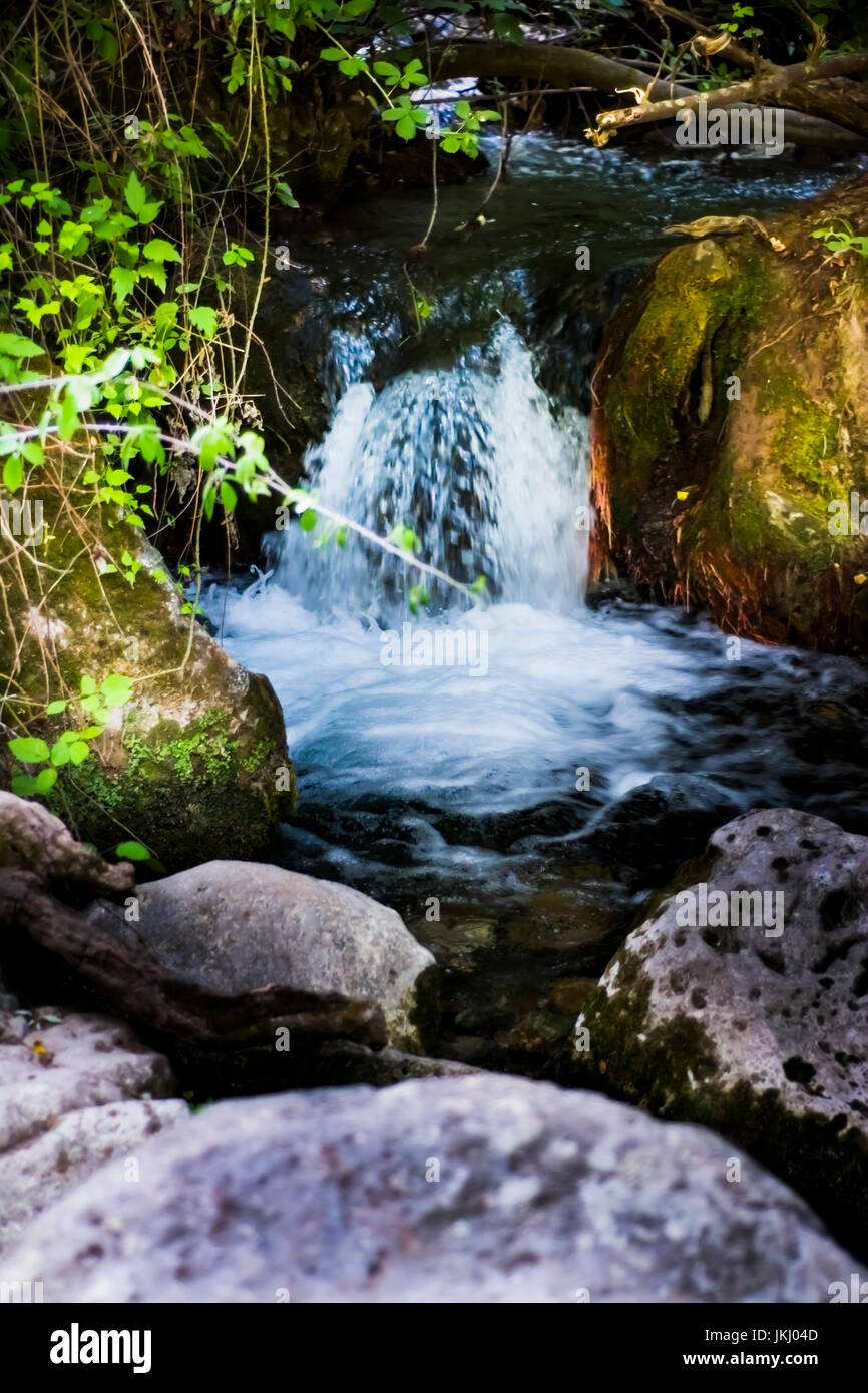 Landscape of a river with water running silky, rocks and trees Stock ...