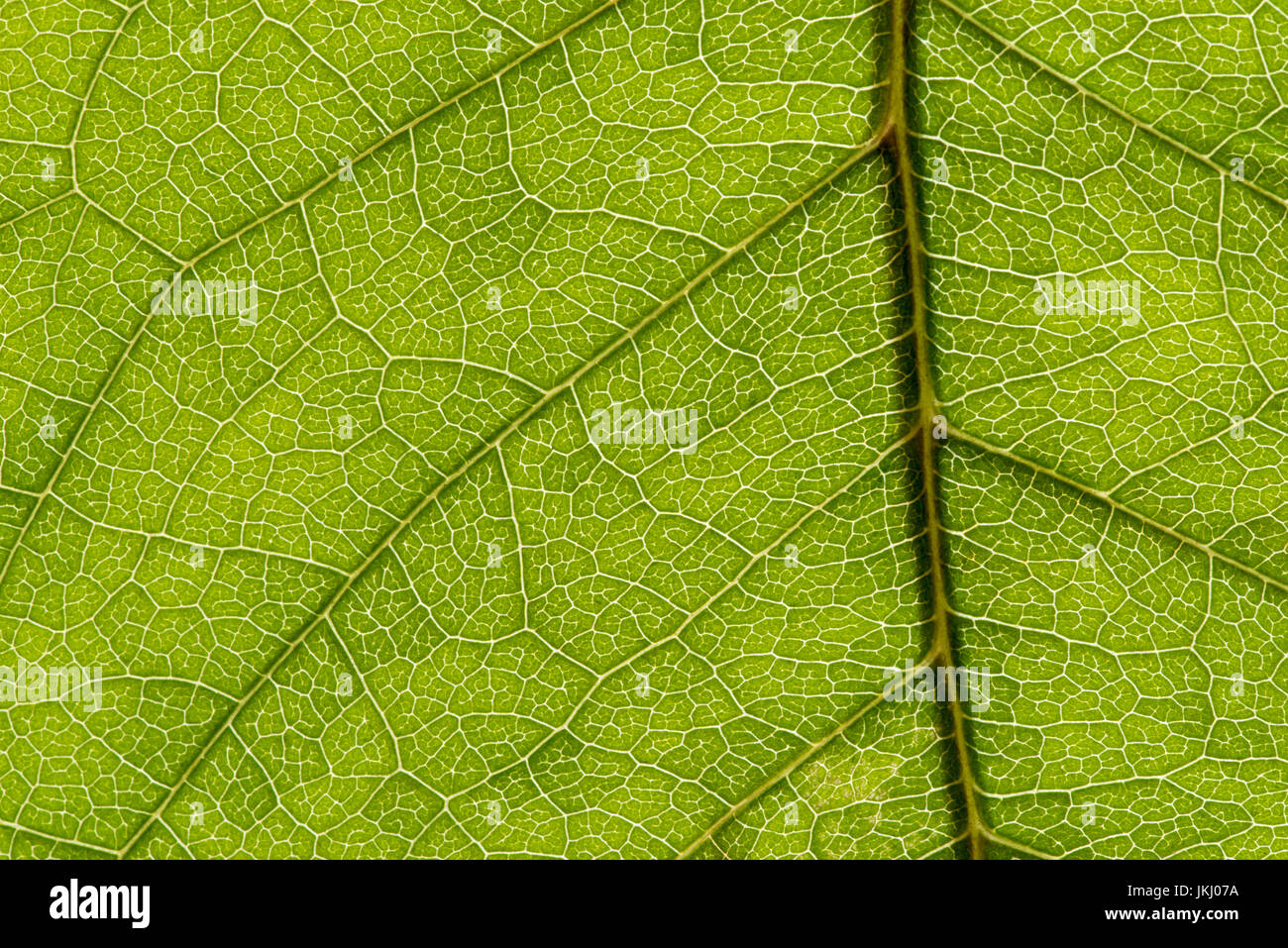 Laminar structure hi-res stock photography and images - Alamy
