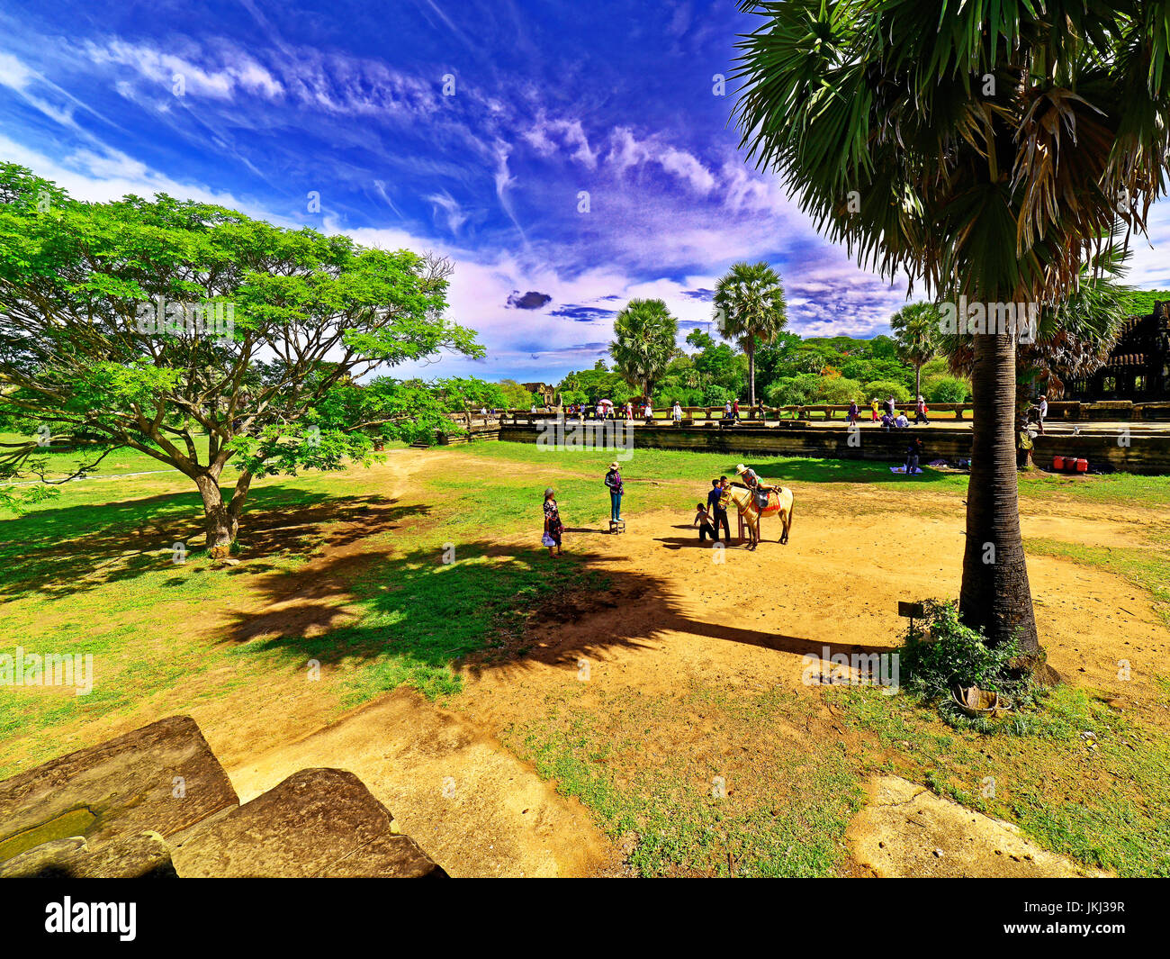 Cambodia Angkor Wat temple grounds horse riding Stock Photo - Alamy