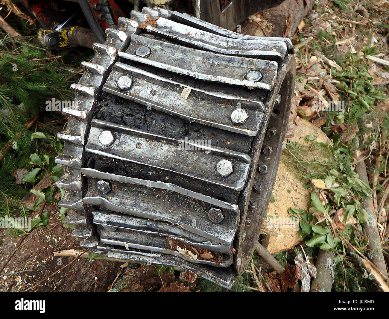 Timber harvester, operating head, Forest cutting Stock Photo - Alamy