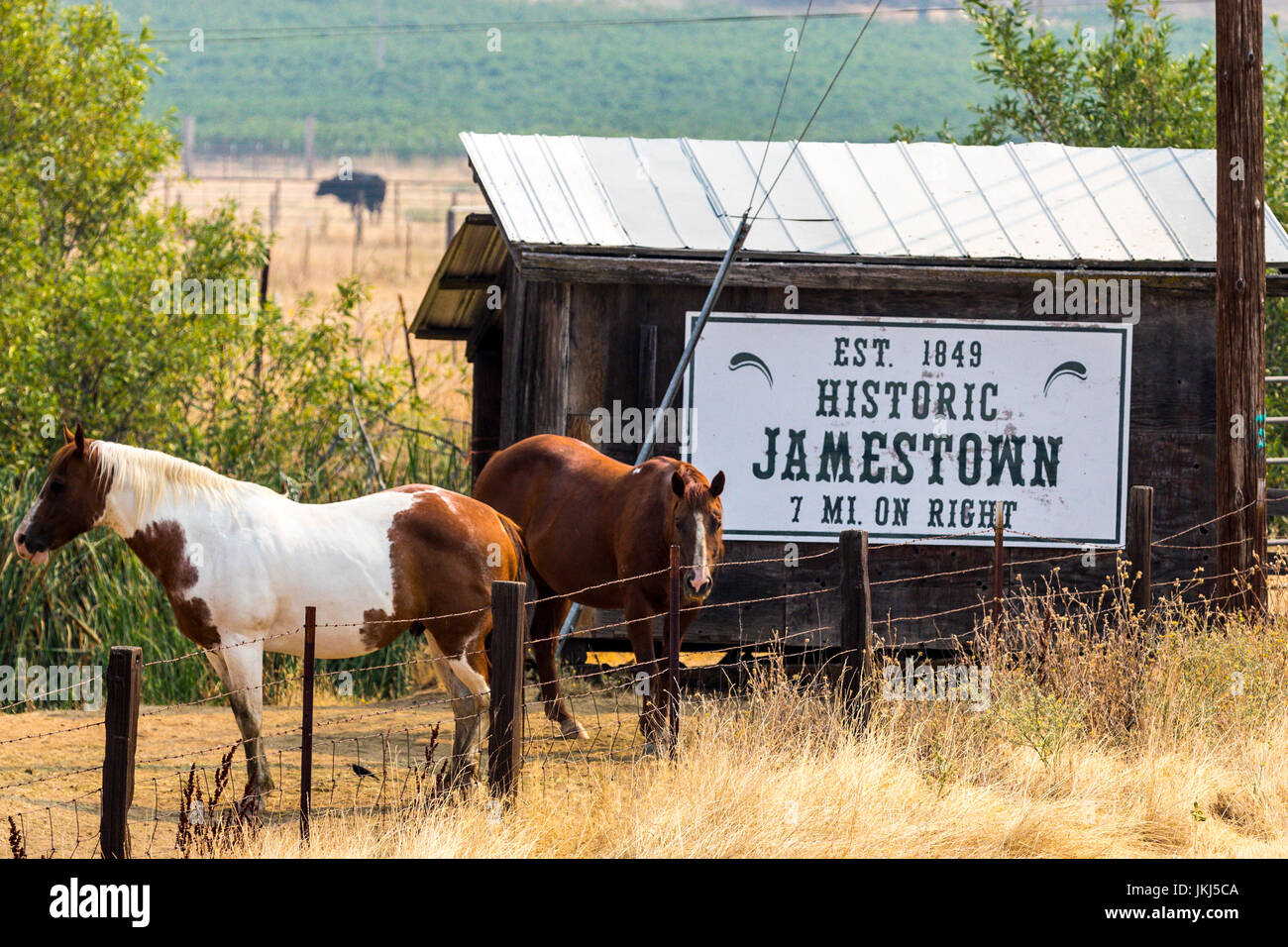 A sign for historic Jamestown California in the Gold Country along ...