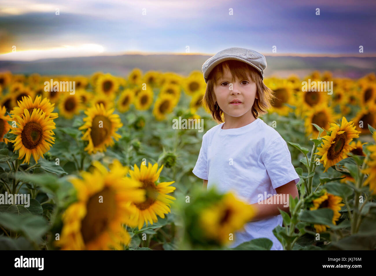 Cute child with sunflower in summer sunflower field on sunset. Kids ...