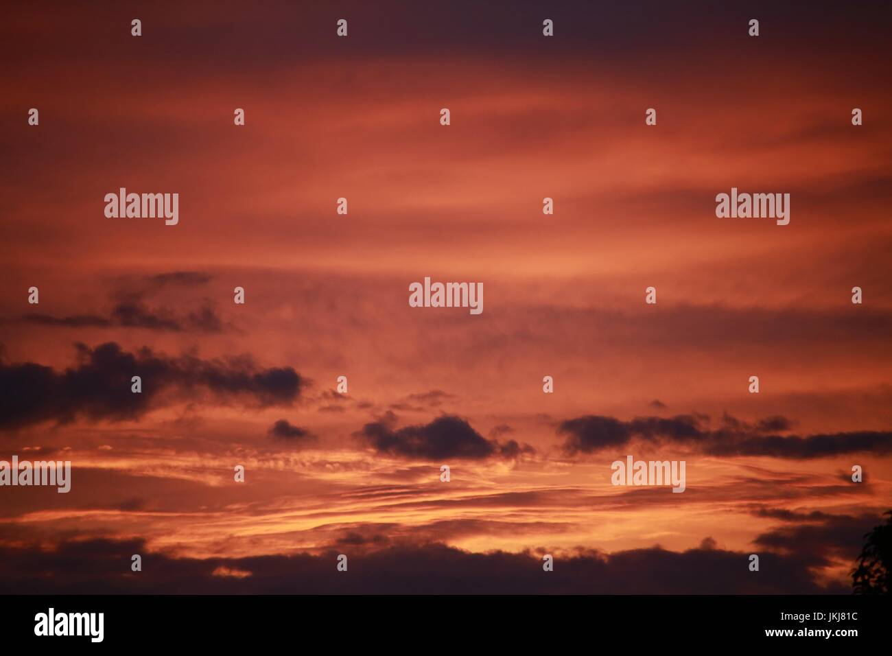 Orange Clouds in Sky at Sunset After Rain Stock Photo - Alamy
