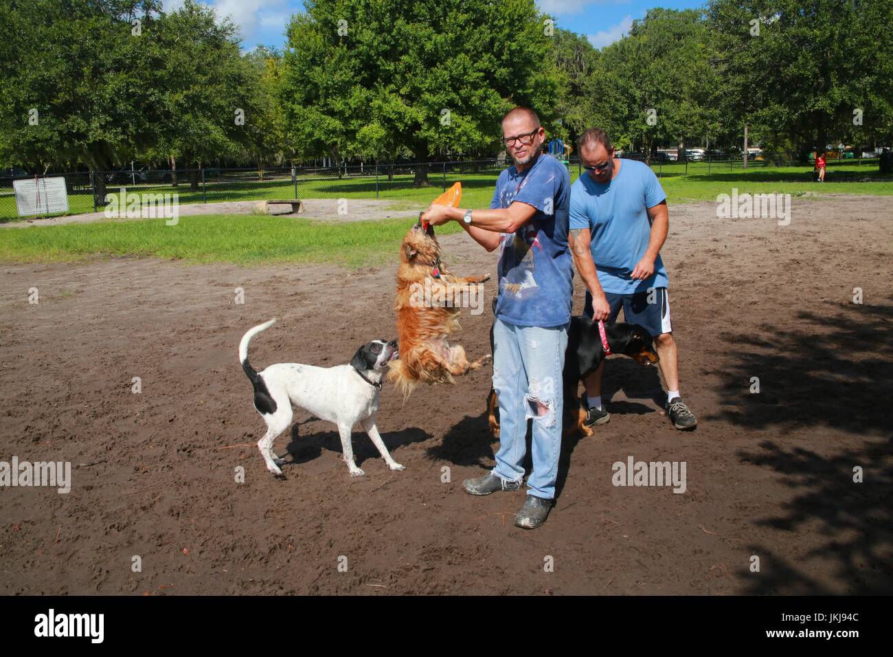 Dog Owner Holding Up His Dog by Frisbee in Its Mouth Refusing to Let Go ...
