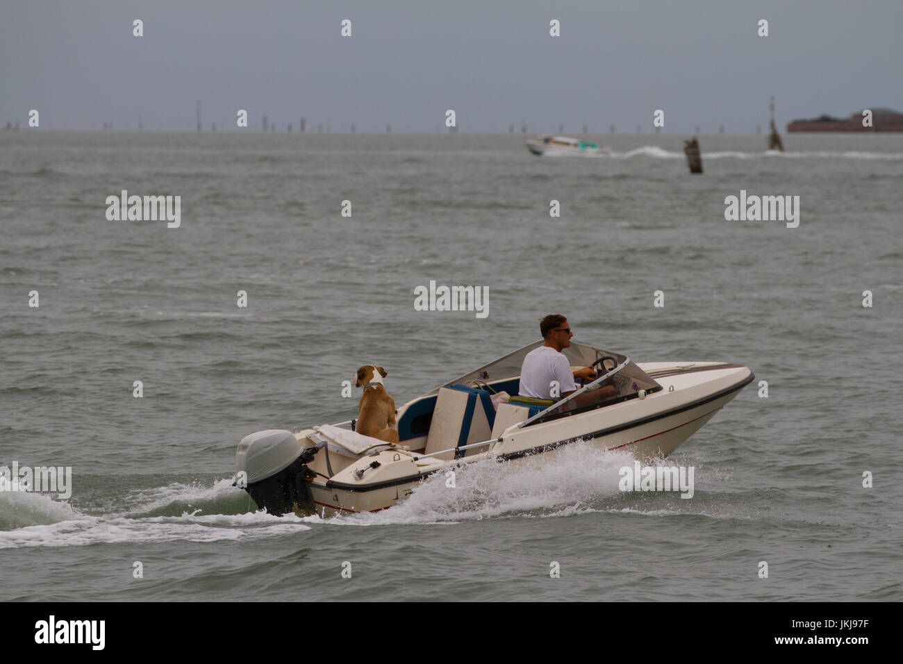 Speed boat with man and dog. Venice. Italy Stock Photo - Alamy