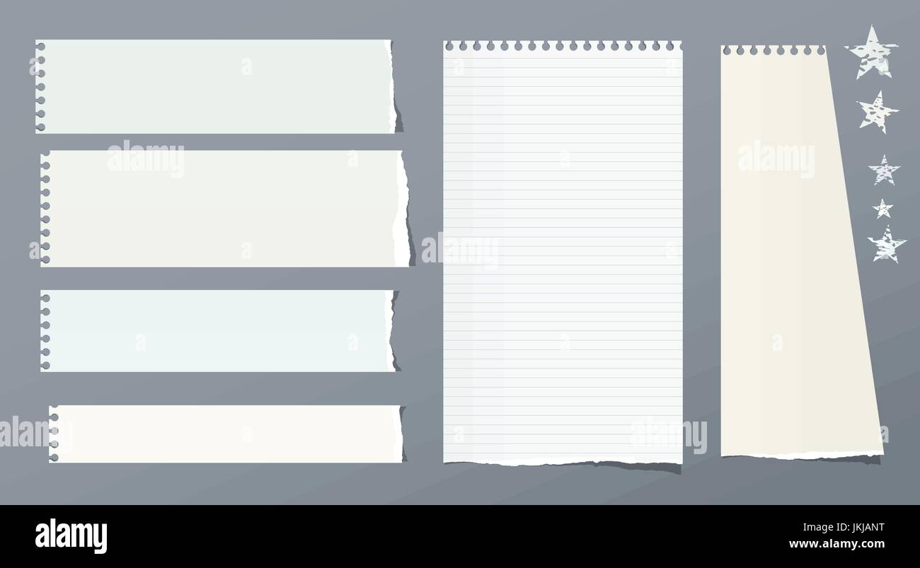 Ripped note, notebook, copybook vertical and horizontal paper strips ...