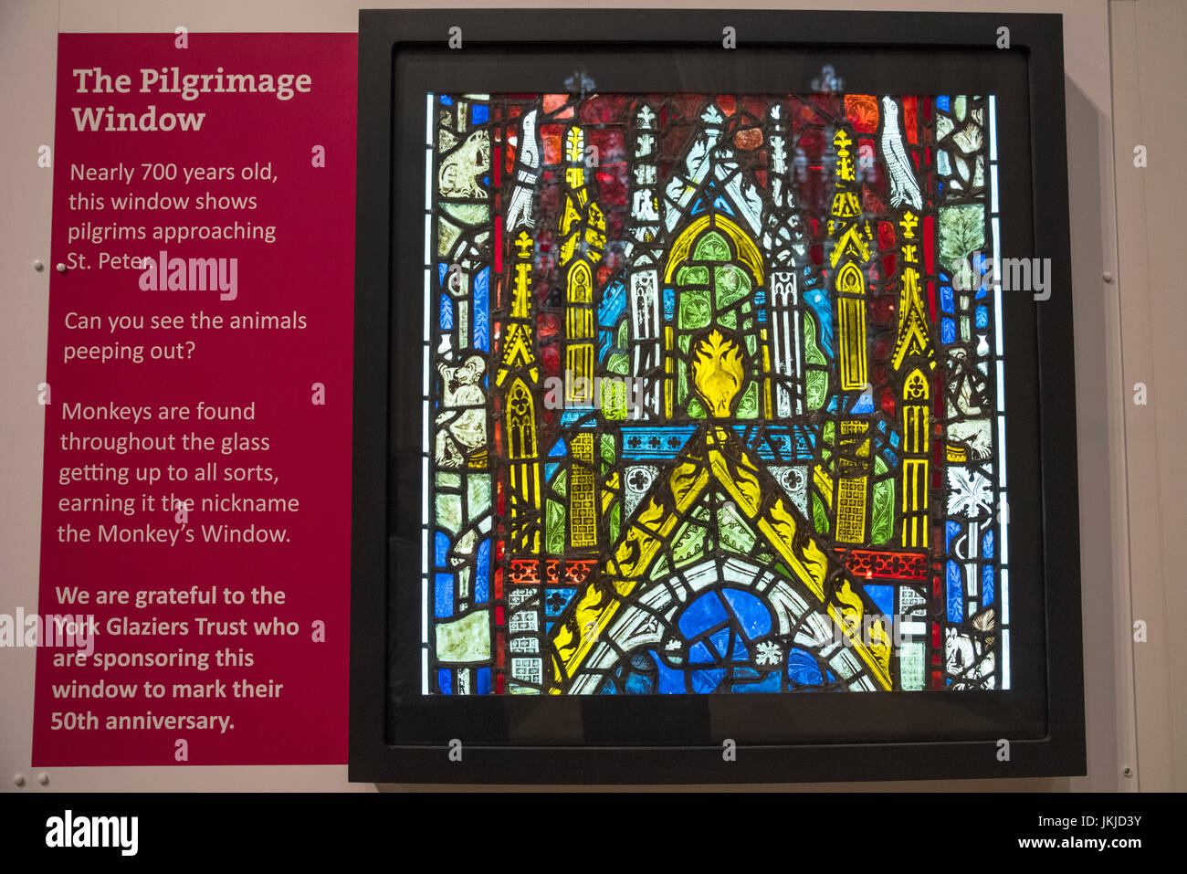 Monkeys window hi-res stock photography and images - Alamy