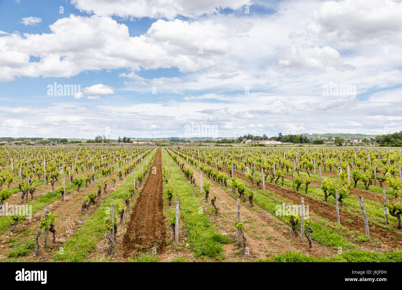 French Wine Making Village Rows Of Vines Landscape Viniculture High ...