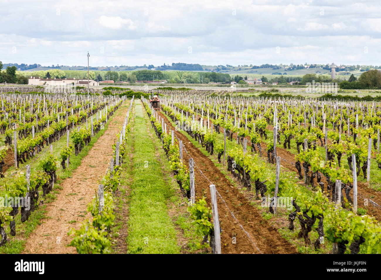 French wine making village rows of vines landscape viniculture hi-res ...