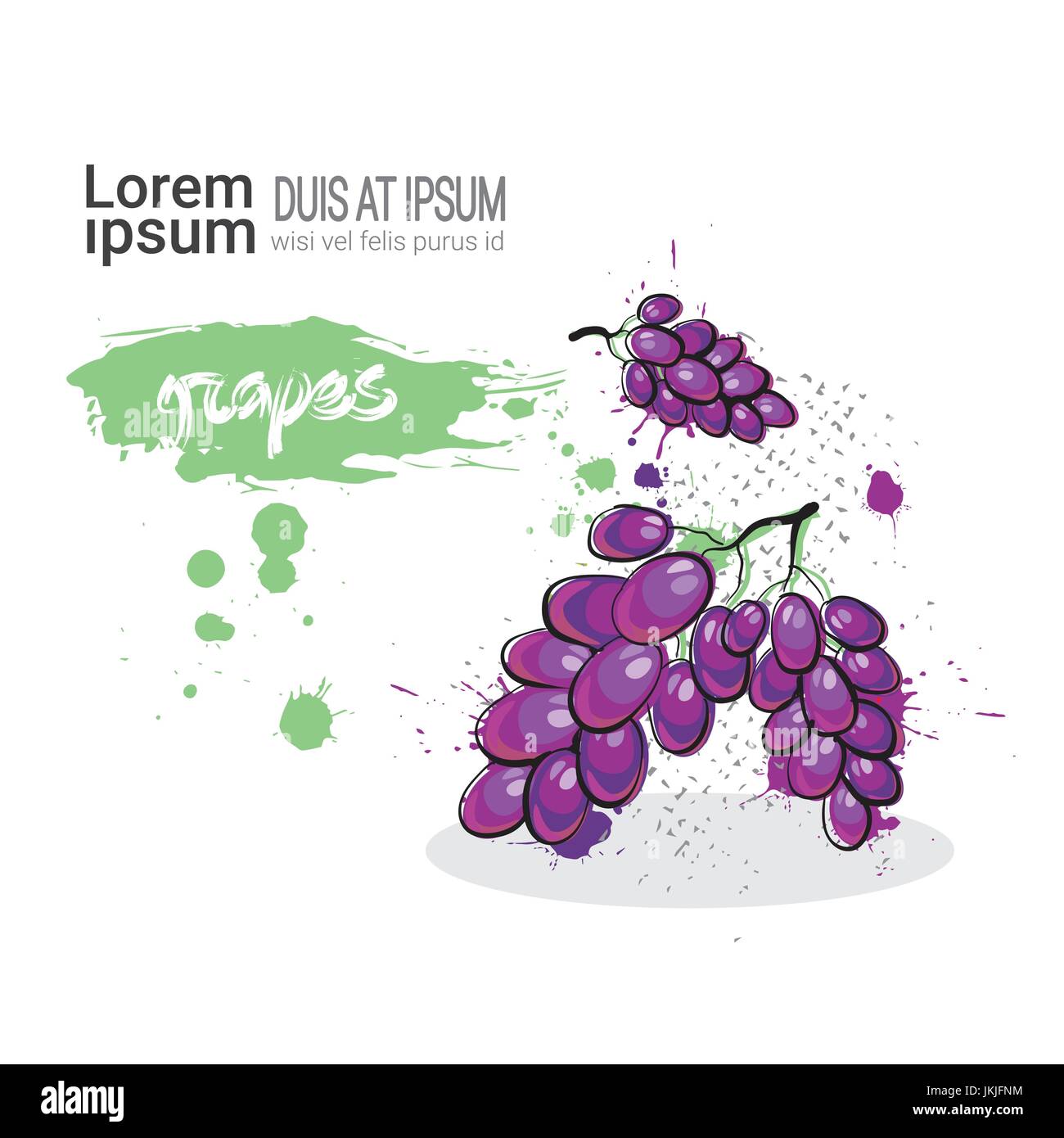 Watercolor grape Stock Vector Images - Alamy