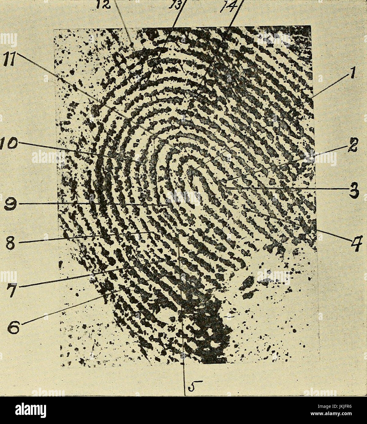 "Personal identification; methods for the identification of individuals ...