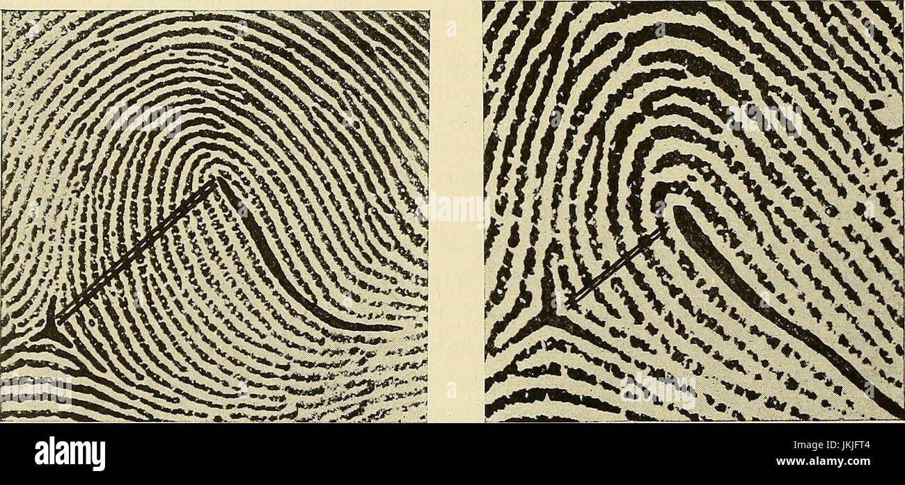 "Personal identification; methods for the identification of individuals ...