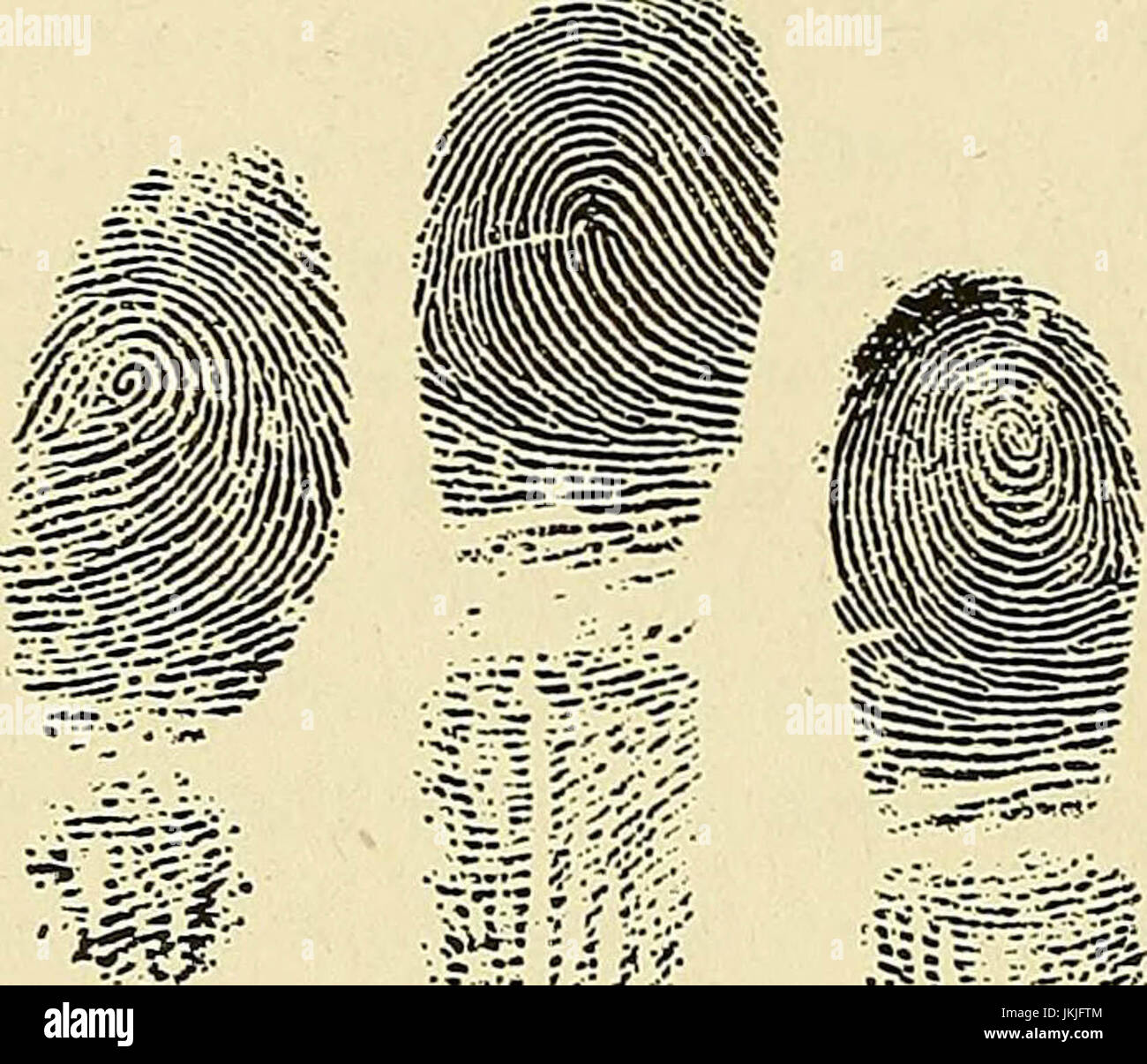 "Personal identification; methods for the identification of individuals ...