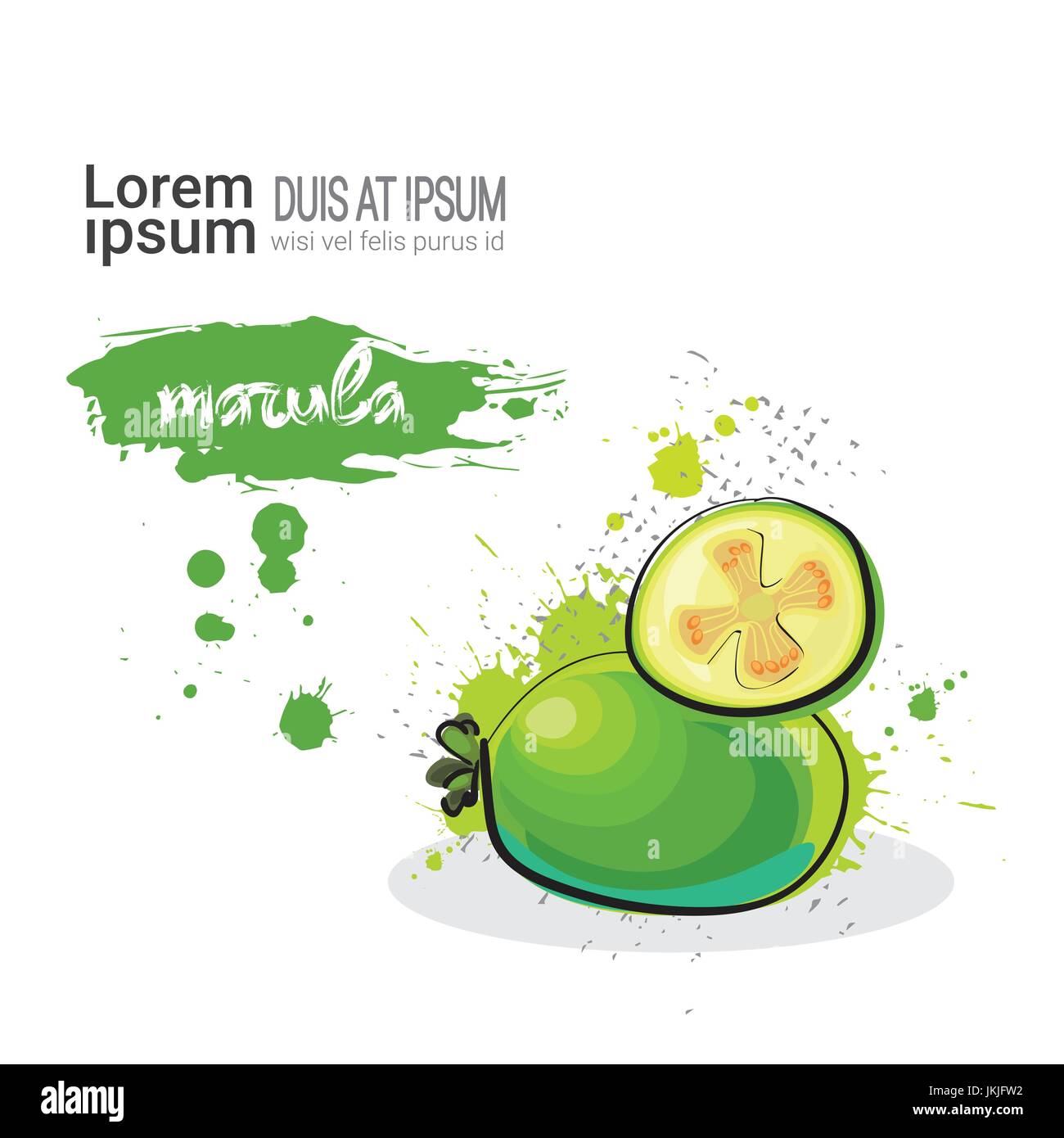 Marula fruit hi-res stock photography and images - Alamy