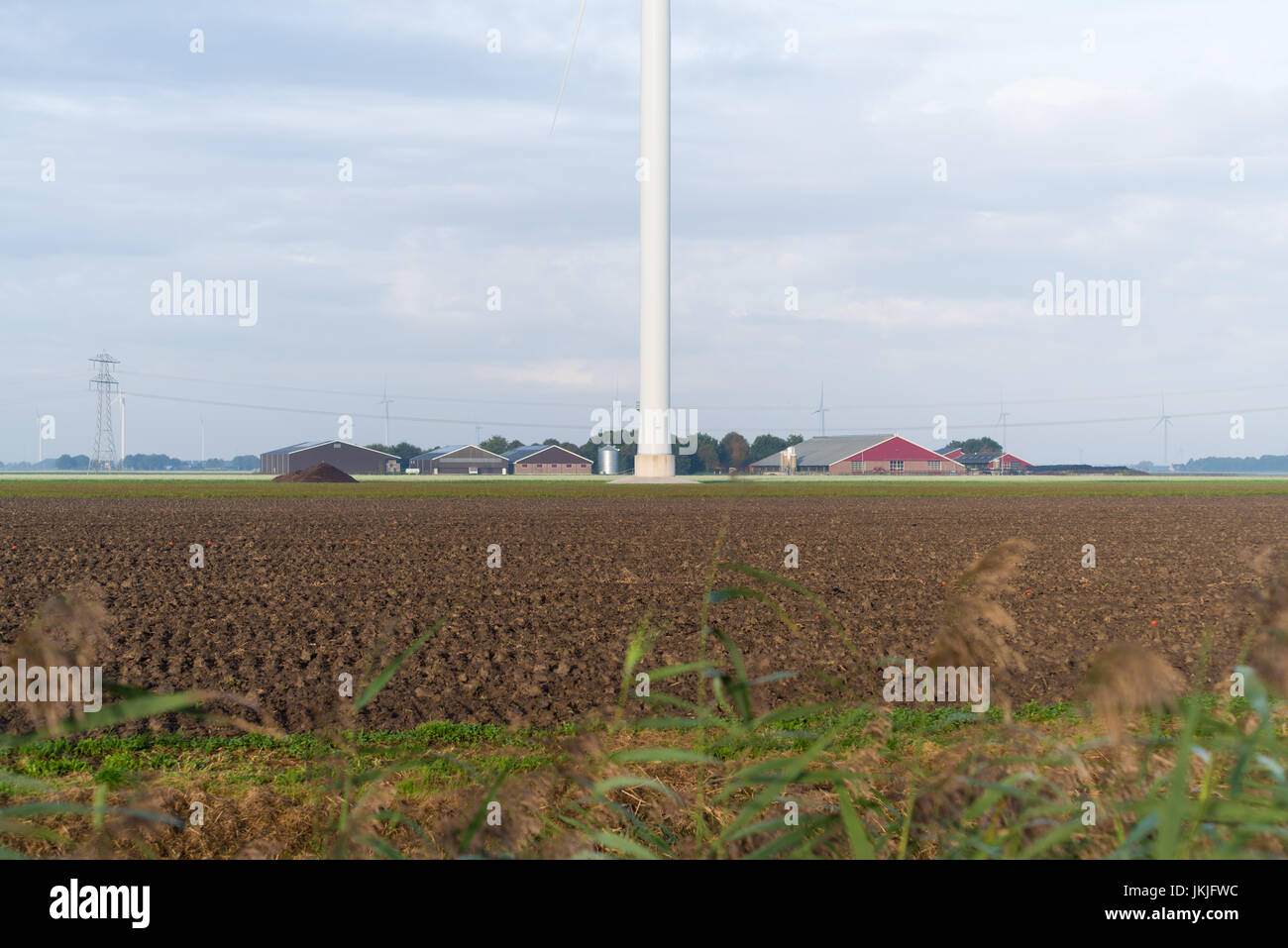 dutch farm with large windmill in front Stock Photo - Alamy