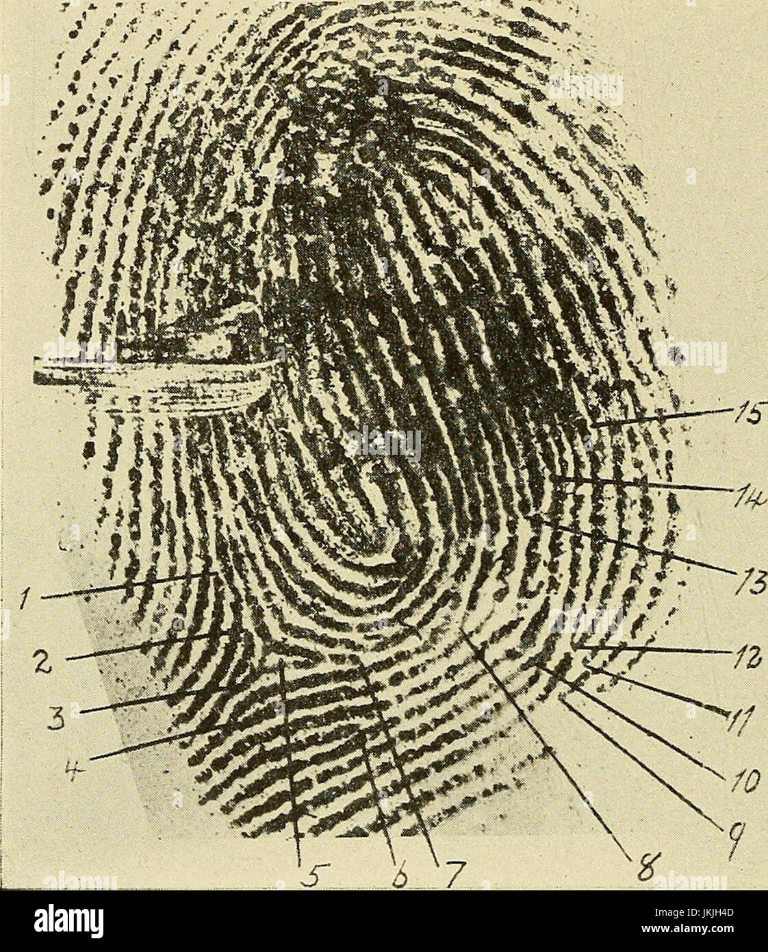 "Personal identification; methods for the identification of individuals ...