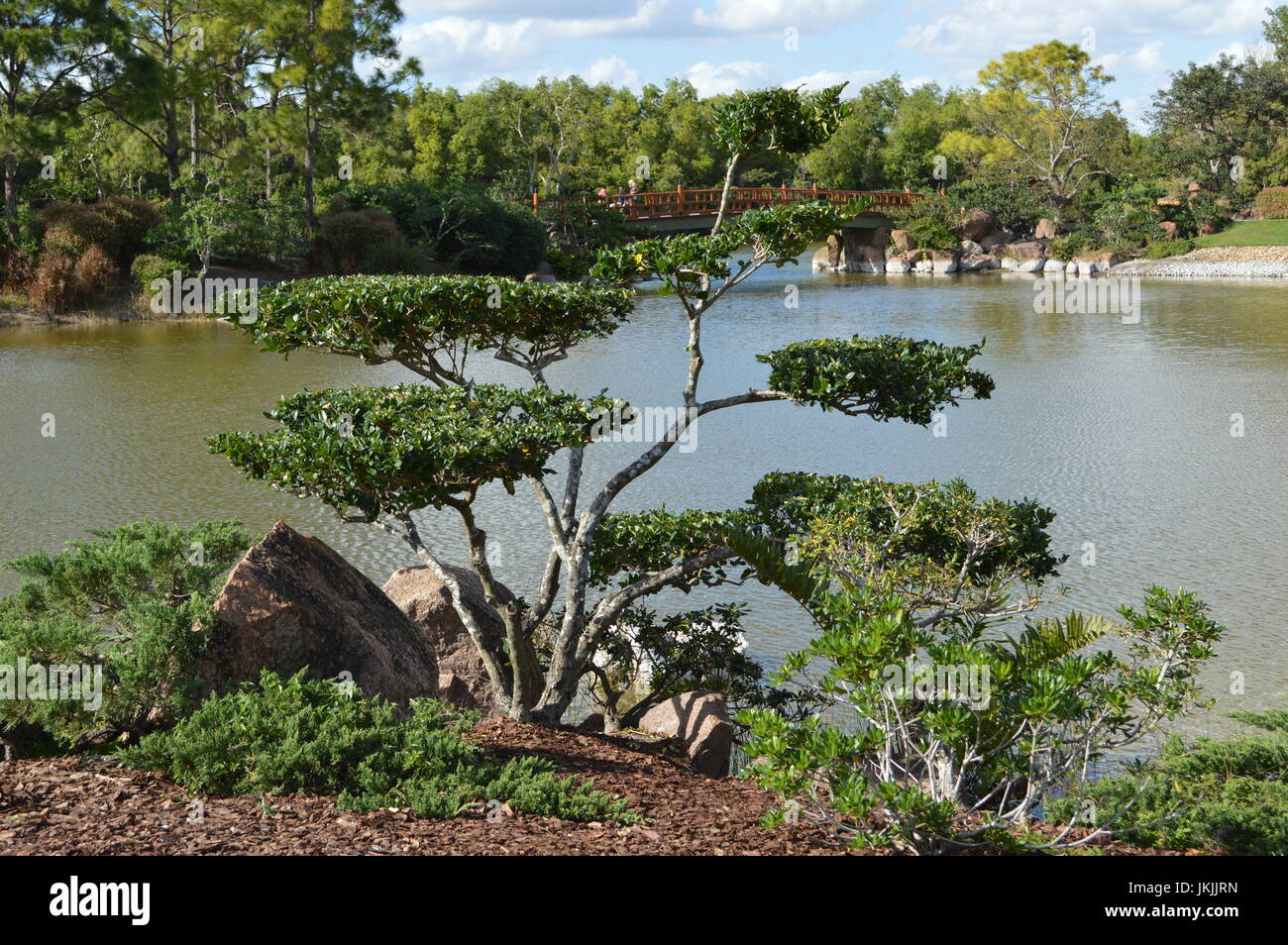 Morikami Museum and Garden Stock Photo - Alamy