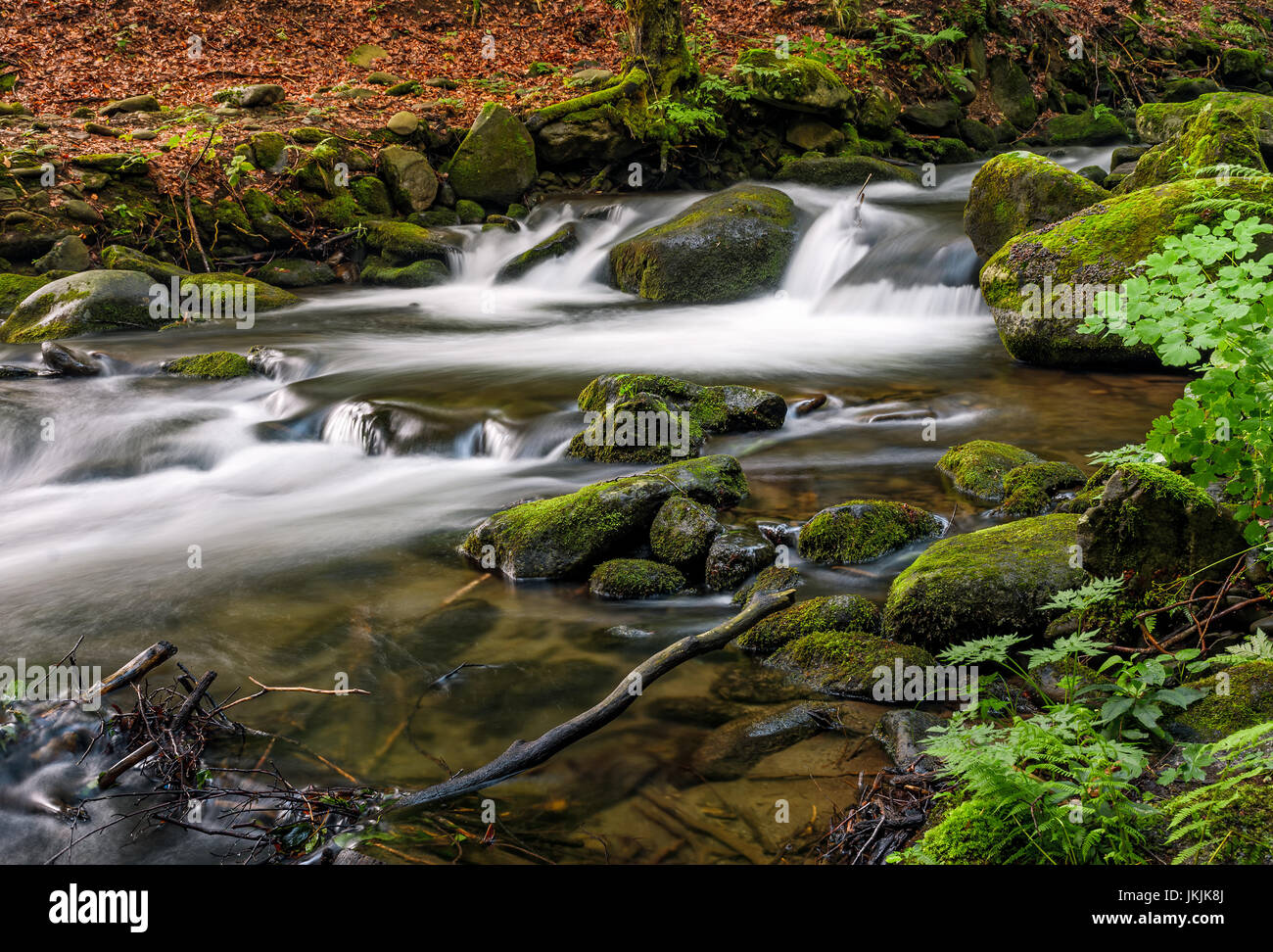 Creak hi-res stock photography and images - Alamy