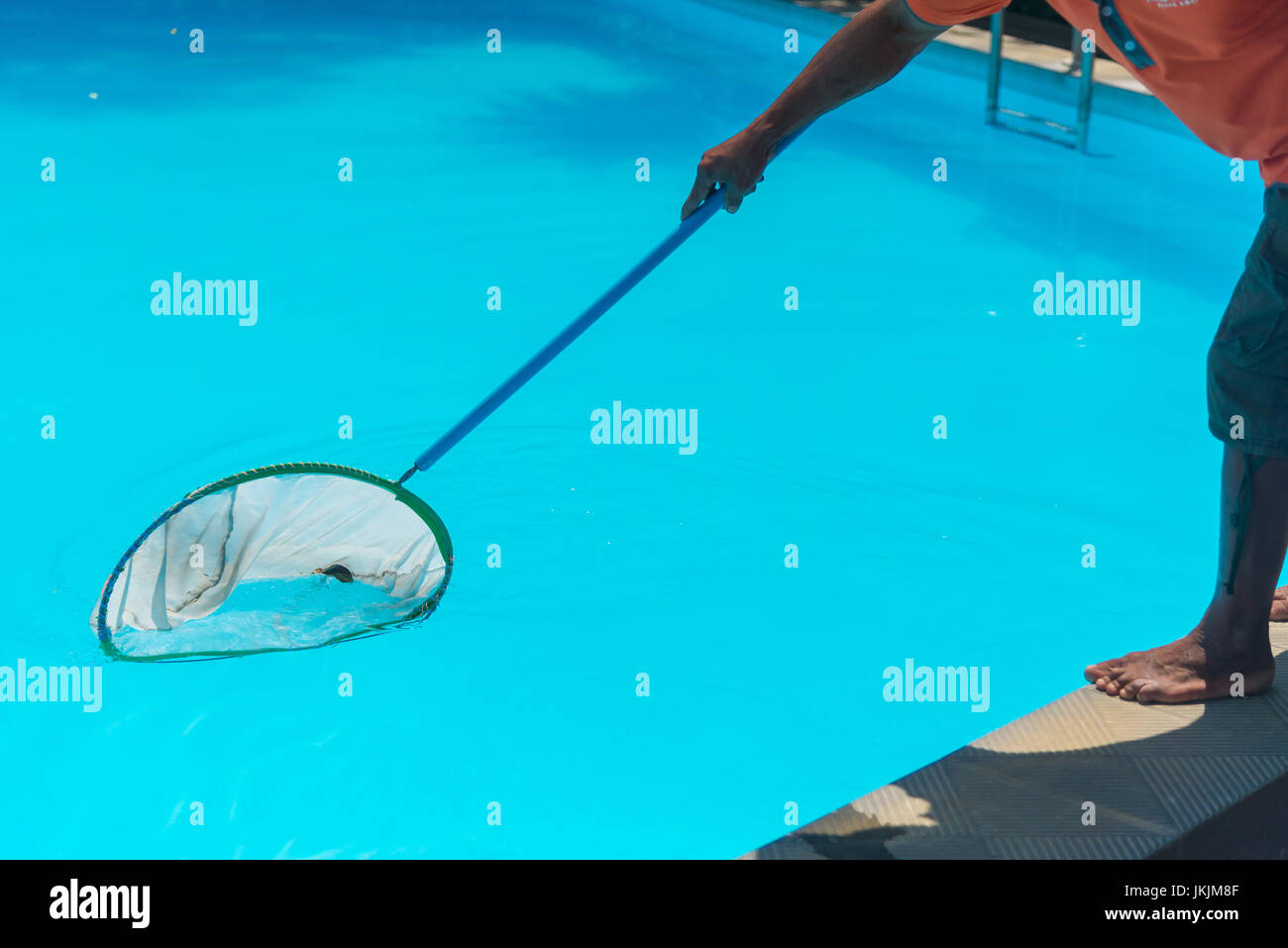 Man cleaning the blue swimming pool from leaves with cleaning net ...
