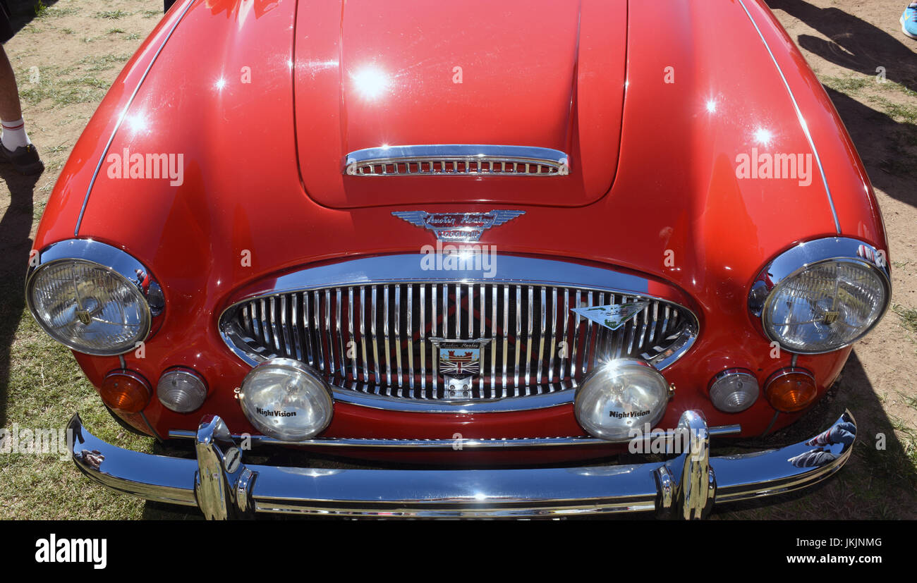 Front view of Austin Healey sports car Stock Photo - Alamy