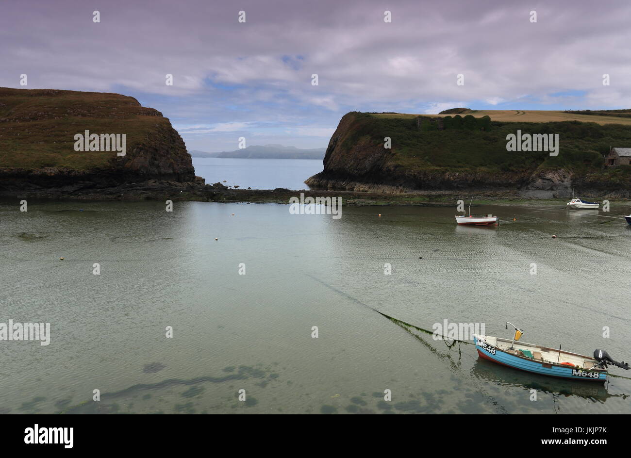 harbour at Abercastle,Pembrokeshire Stock Photo - Alamy