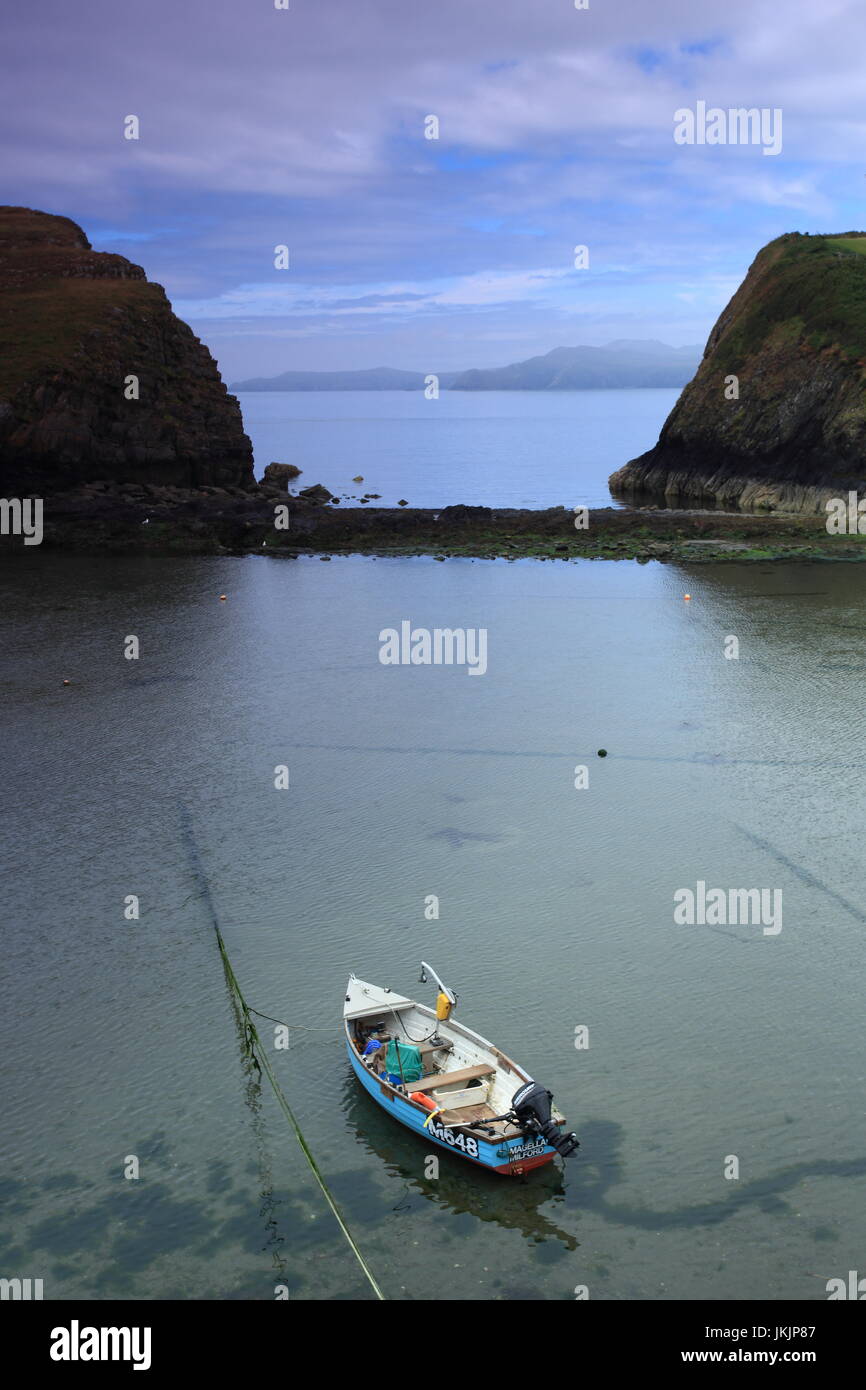 Coast path abercastle hi-res stock photography and images - Alamy