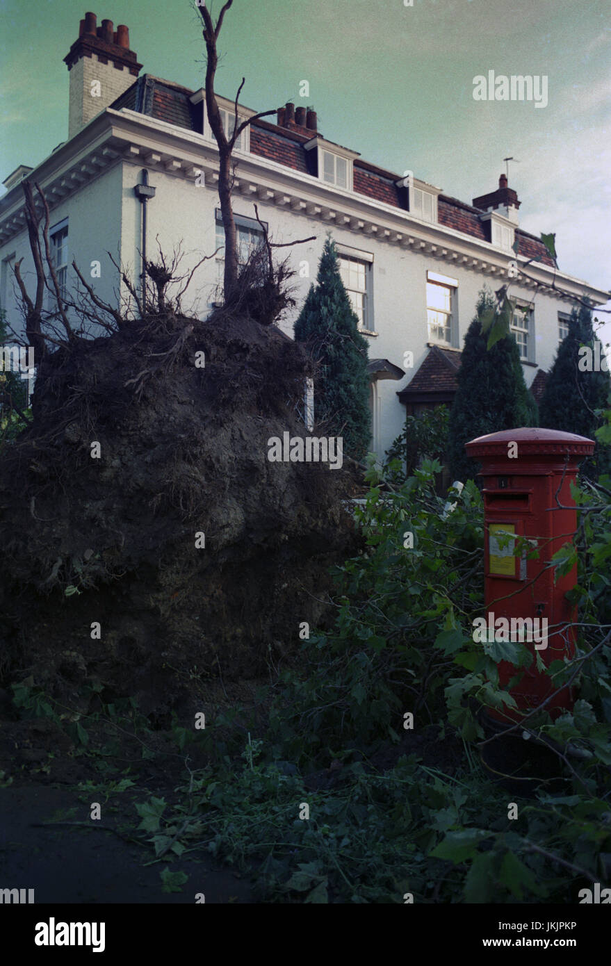 1987 hurricane damage hi-res stock photography and images - Alamy