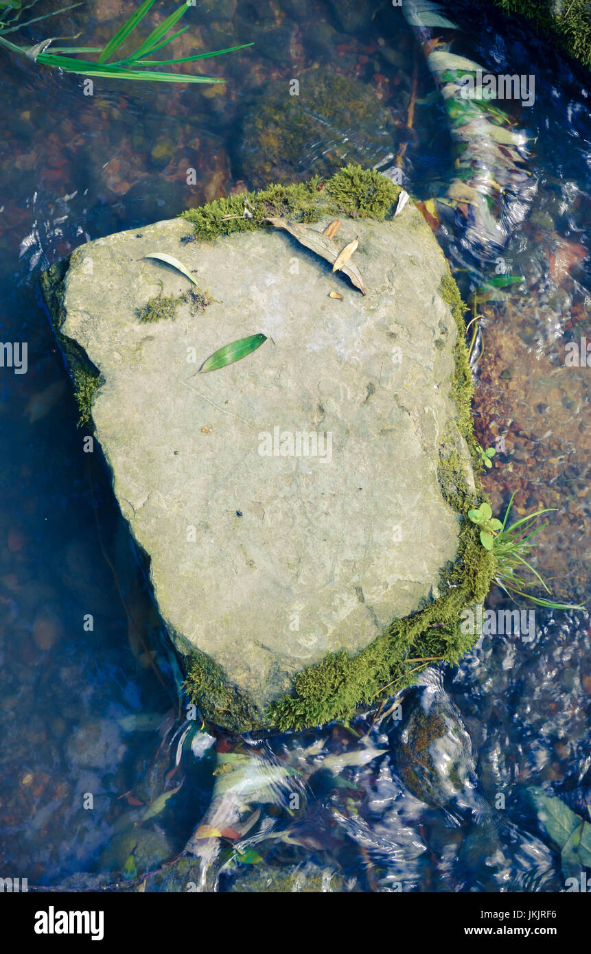 big stone in a riverbed in water Stock Photo - Alamy