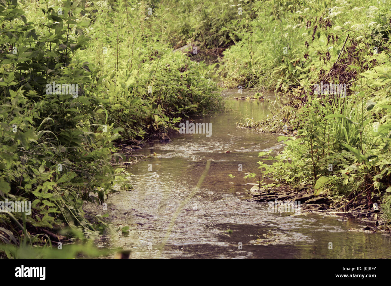 Small Clean River and Green Overgrown River Banks Stock Photo - Alamy