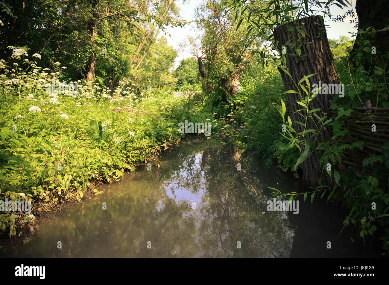 Overgrown river hi-res stock photography and images - Alamy