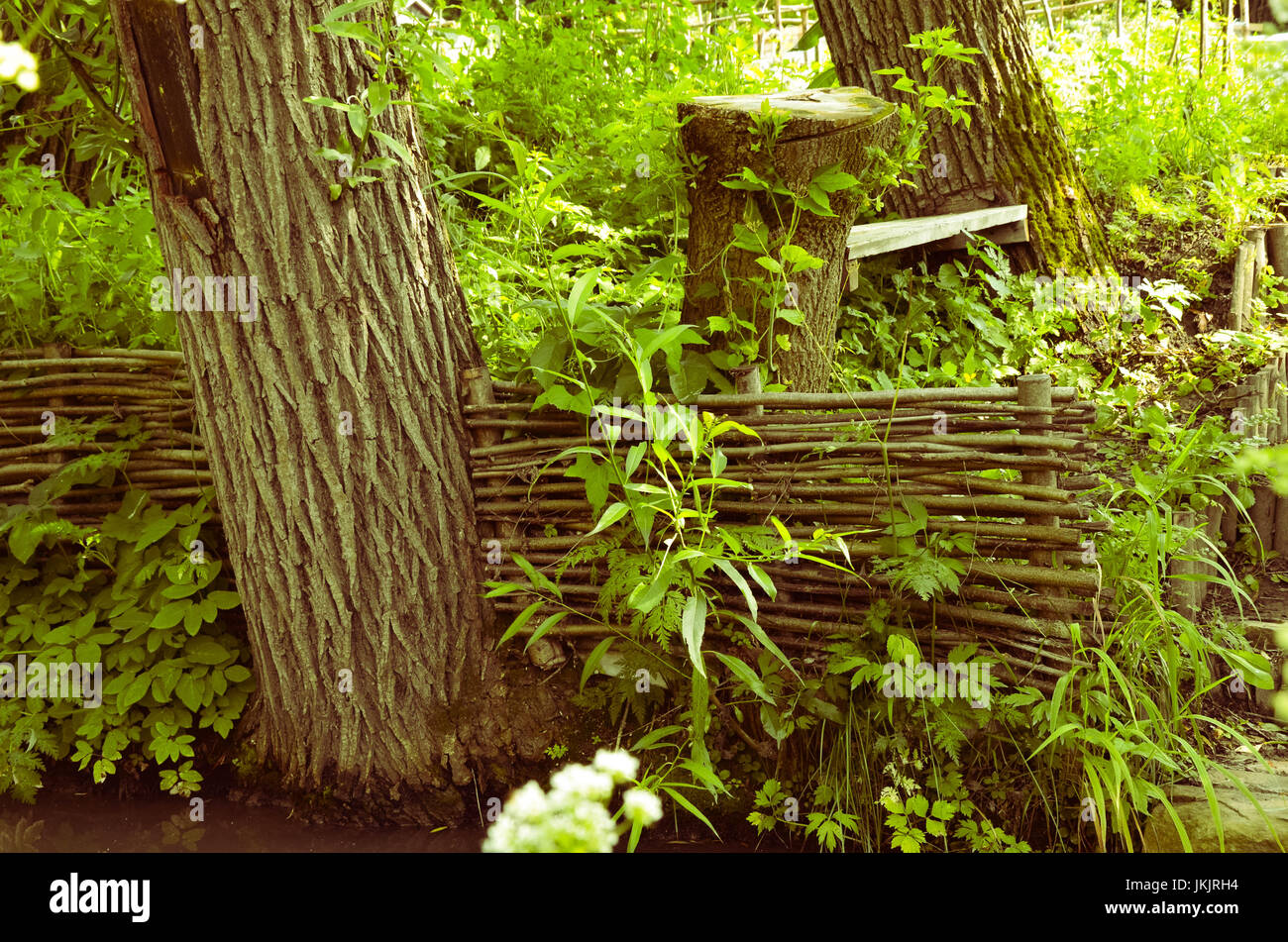 Fence tree behind other hi-res stock photography and images - Alamy