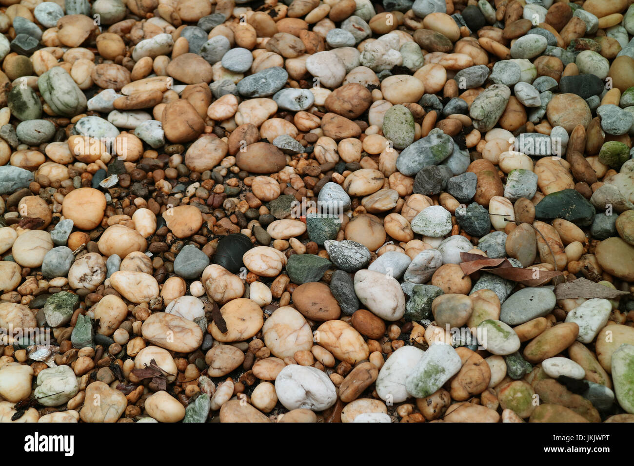 Beautiful pebble stone ground hi-res stock photography and images - Alamy