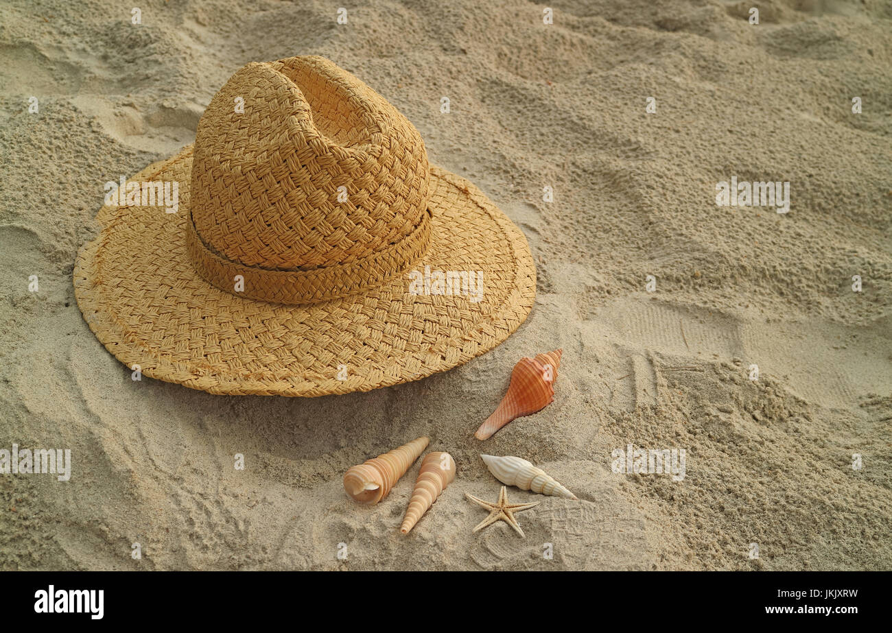 Natural brown color straw hat with many types of little seashells ...