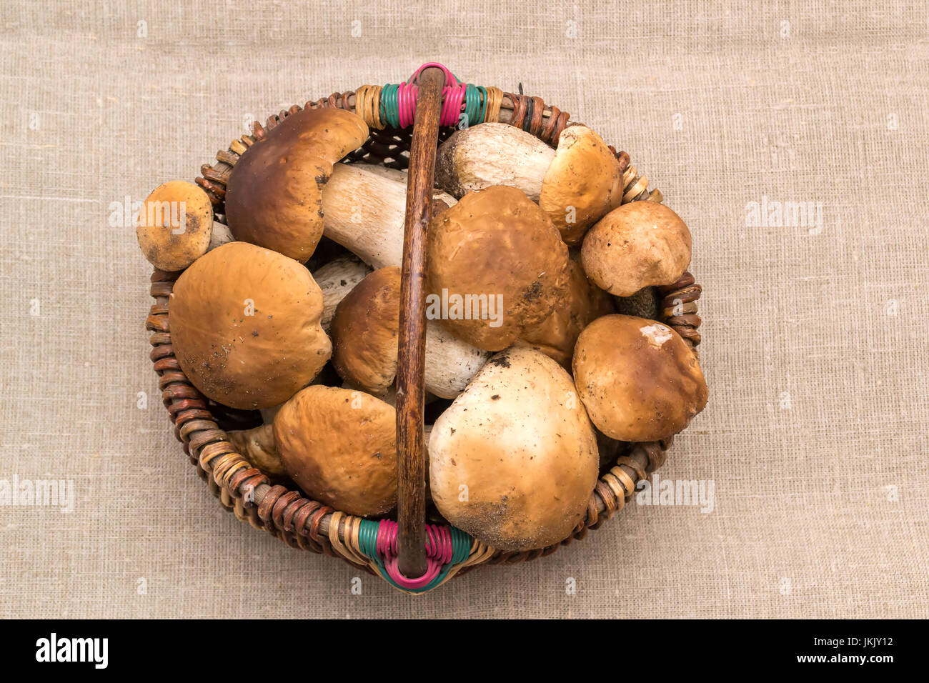 Group of porcini mushrooms on linen. The natural color and texture ...