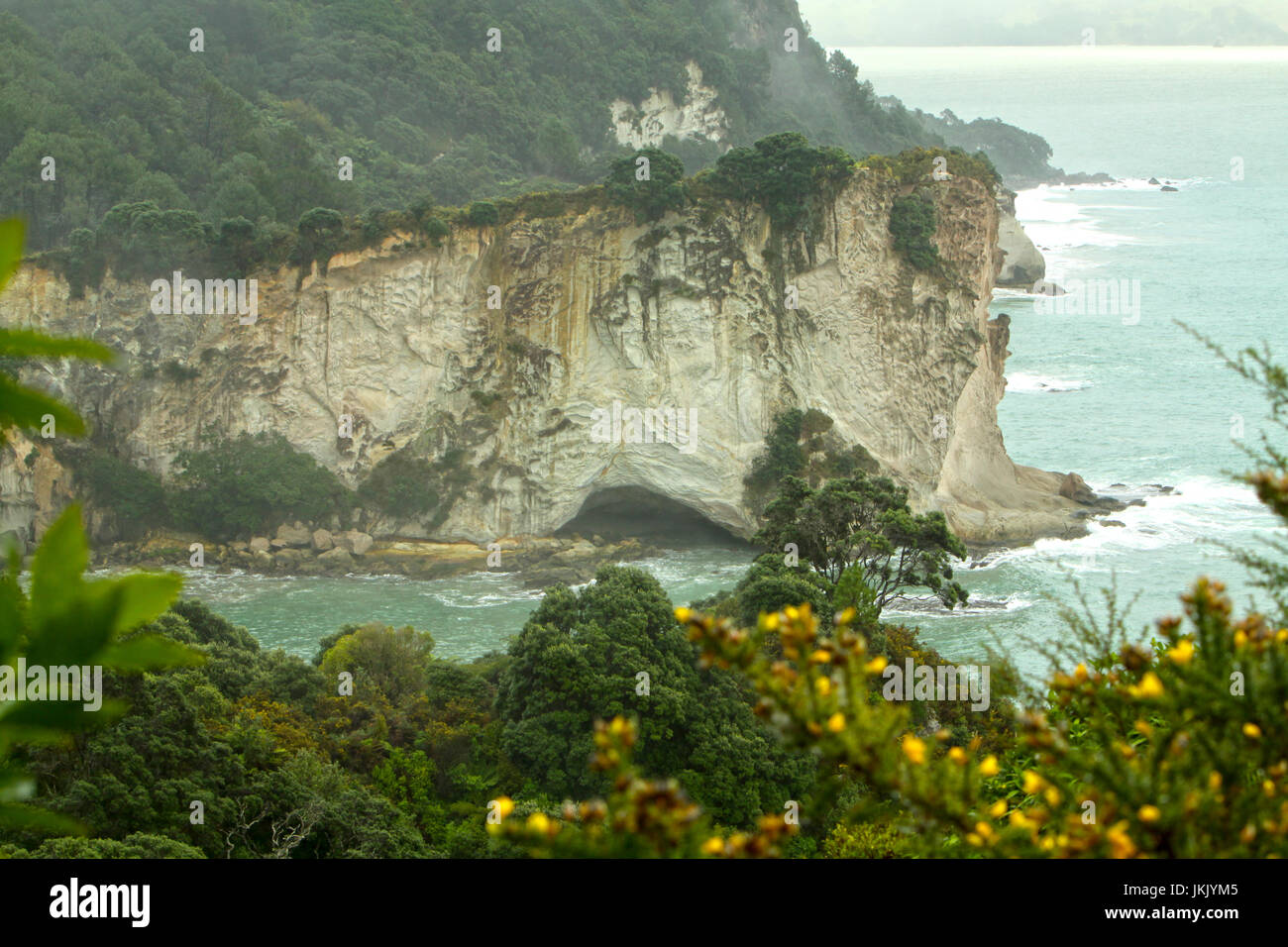 Chalk cliffs on the Coromandel Peninsula Stock Photo - Alamy