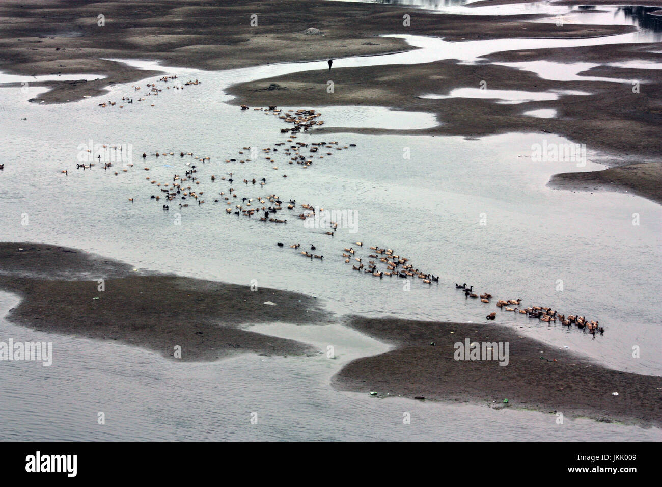 Brahma putra river hi-res stock photography and images - Alamy
