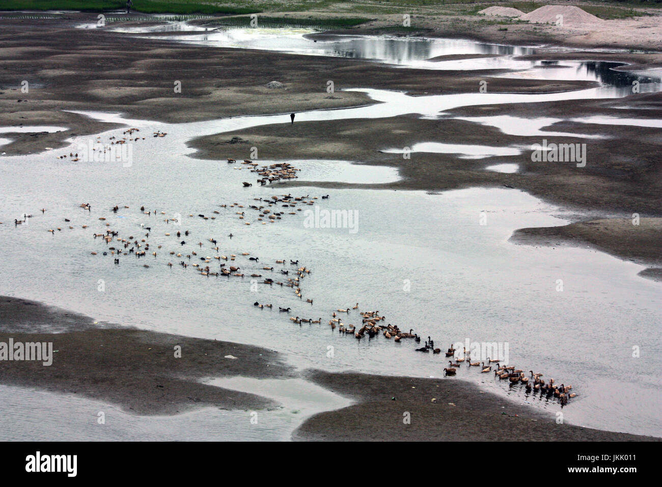 Brahma putra river hi-res stock photography and images - Alamy